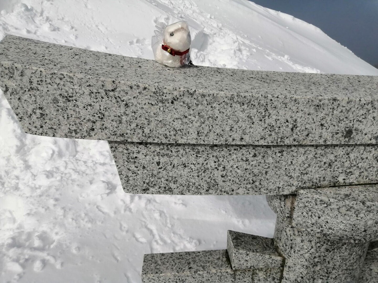 立春に登る牛岳 / yamanobu さんの牛岳の活動データ | YAMAP / ヤマップ