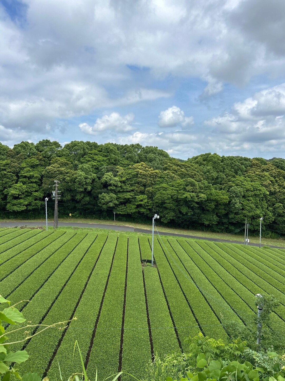 さわやかウォーキング菊川市 / akeppさんのウォーキングの活動データ | YAMAP / ヤマップ