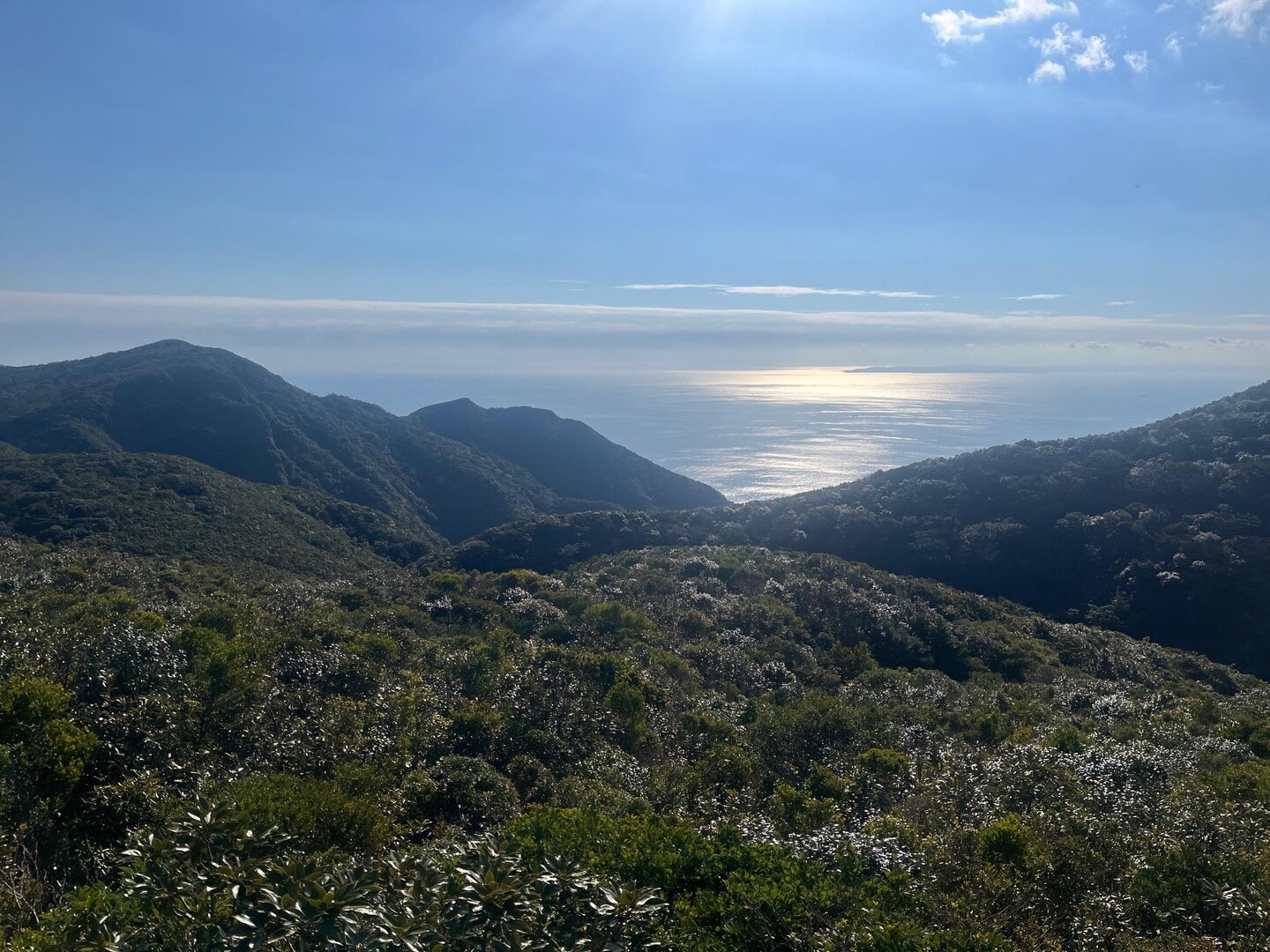 九州百名山ツアー〜②稲尾岳 / shihoさんの稲尾岳・枯木岳の活動データ | YAMAP / ヤマップ