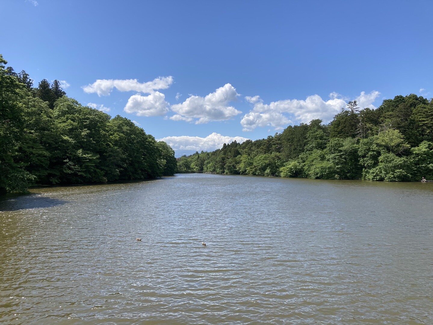 こんにちは^ ^ 今日はところどころ雲... / OBsunさんのモーメント | YAMAP / ヤマップ