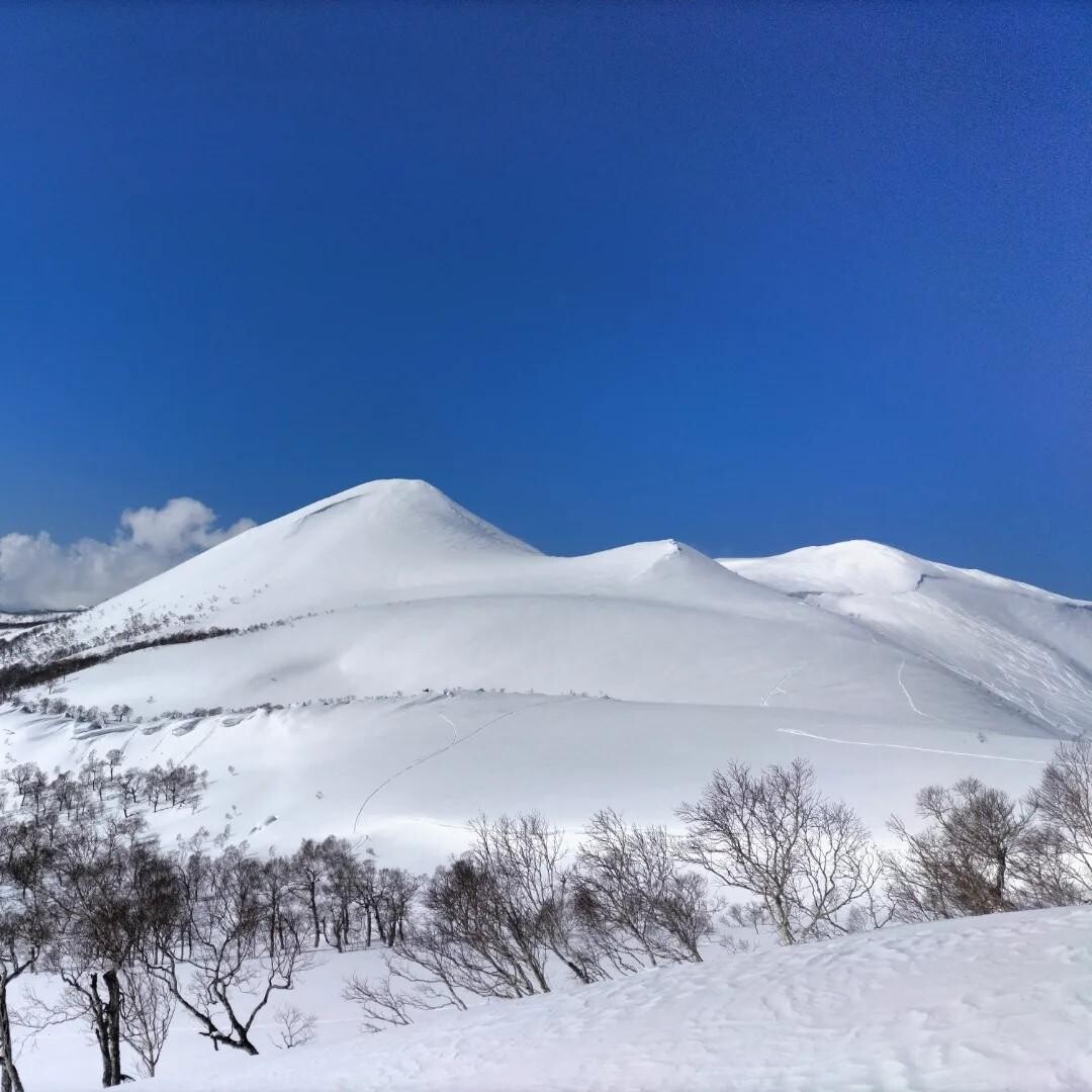 シャクナゲ岳・832m峰BC / Enemi さんのニセコアンヌプリ・イワオヌプリ・チセヌプリの活動データ | YAMAP / ヤマップ