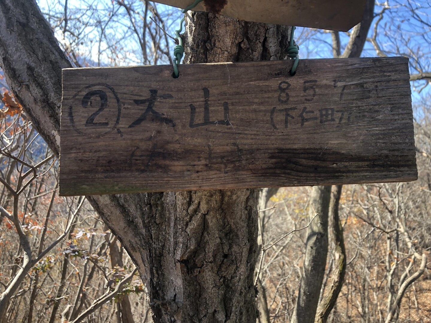 大山 / necomaru Xさんの赤久縄山・白髪岩・稲含山の活動データ | YAMAP / ヤマップ