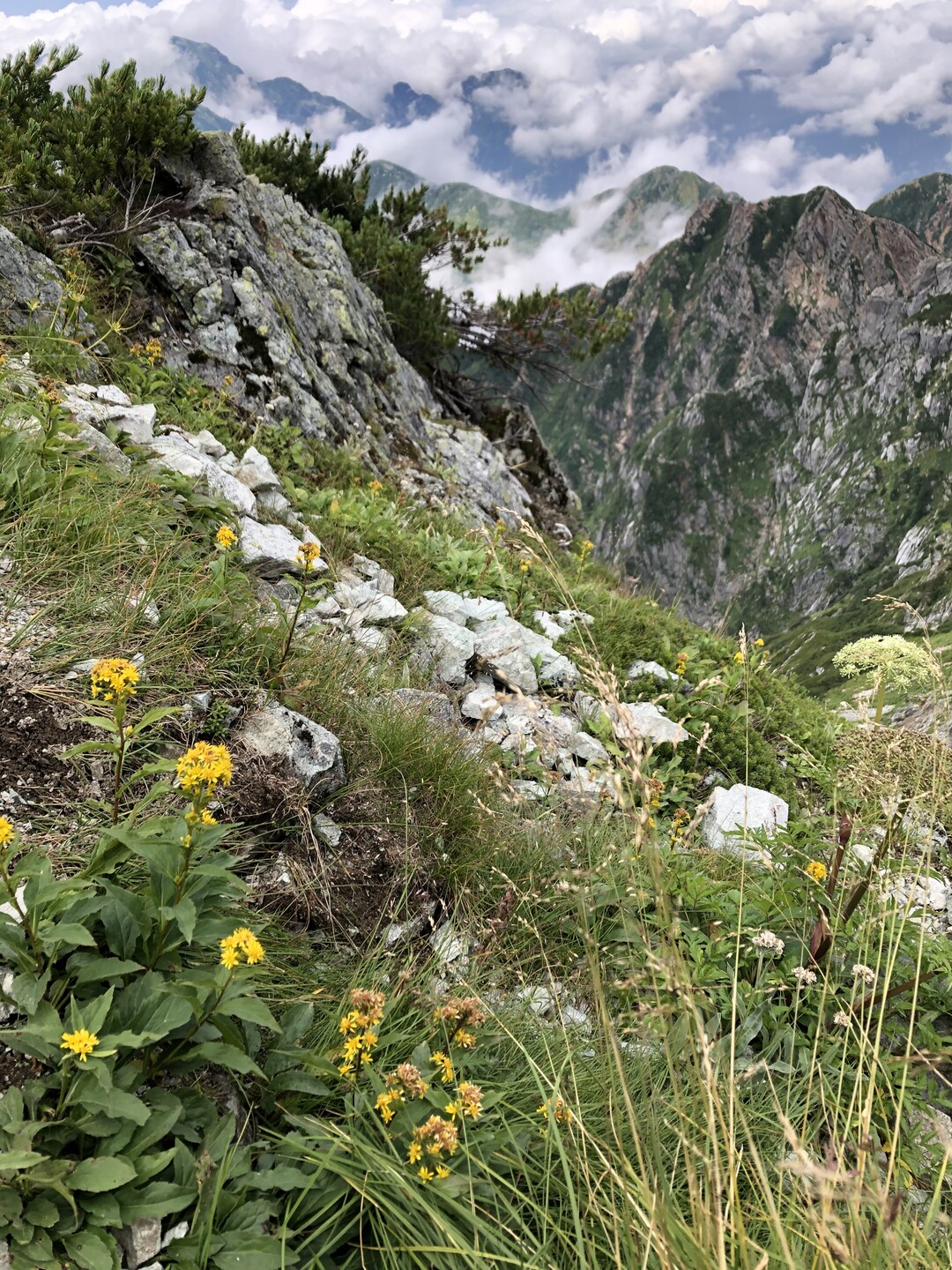 山ばあばのページ | YAMAP / ヤマップ