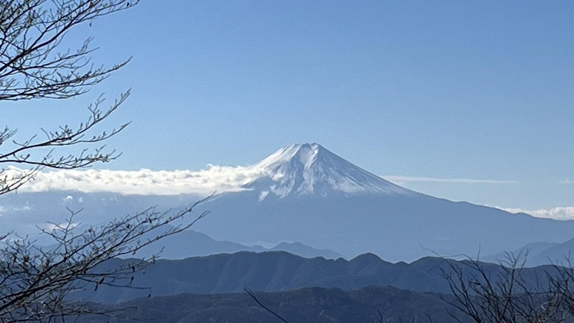 奥多摩6/8 御前山 / teiiiineさんの大岳山・御岳山・御前山の活動データ | YAMAP / ヤマップ