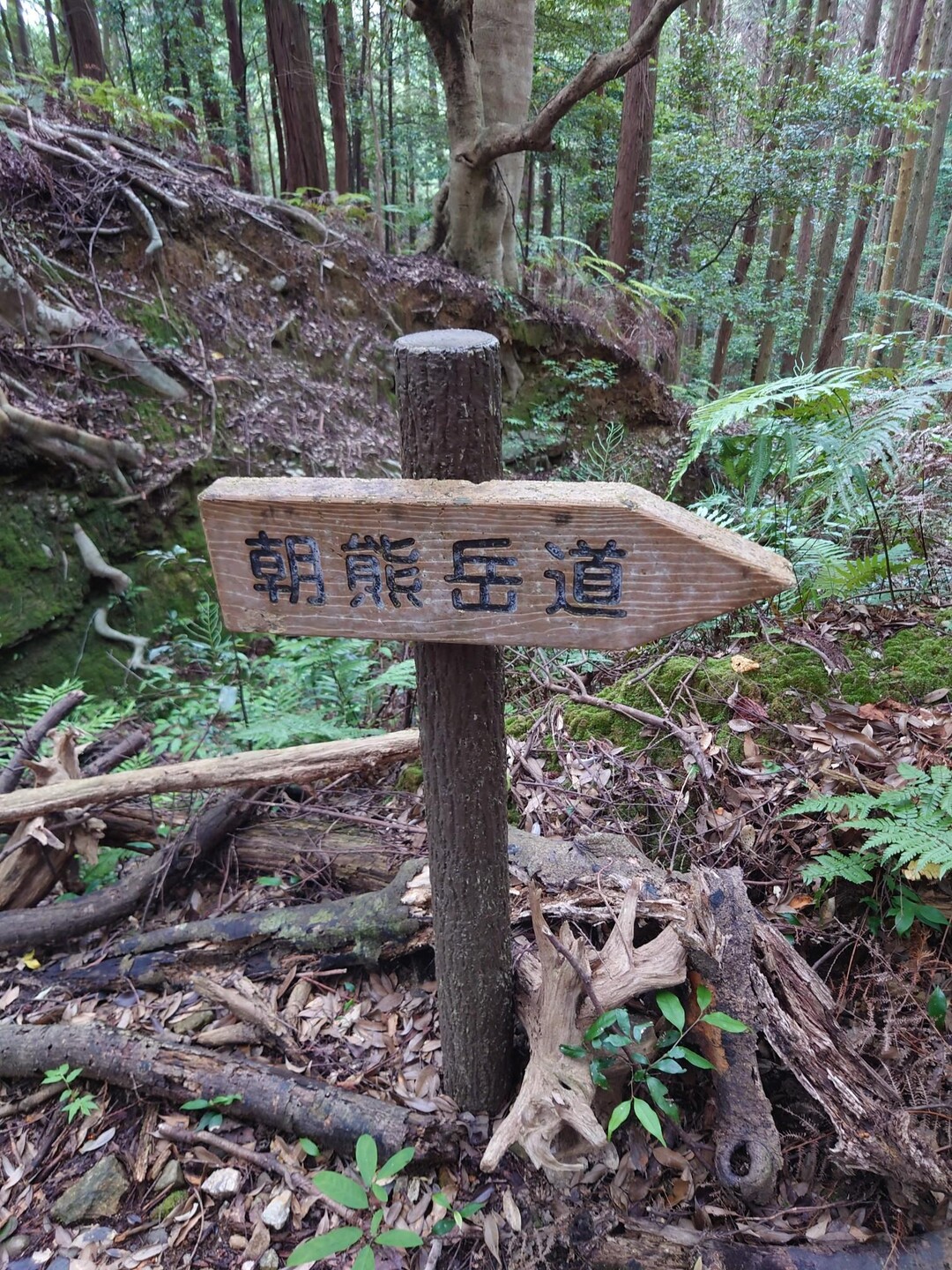 朝熊ヶ岳 / dewarsさんの朝熊ヶ岳（朝熊山）・鼓ヶ岳・鷲嶺（袴腰山）の活動データ | YAMAP / ヤマップ