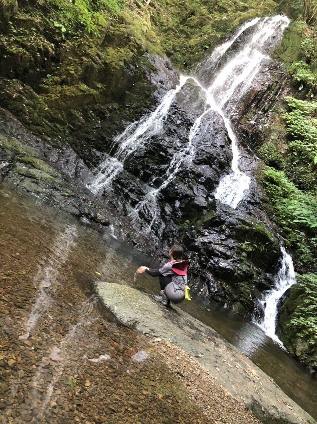 桂木山 / suzuさんの山口市の活動データ | YAMAP / ヤマップ