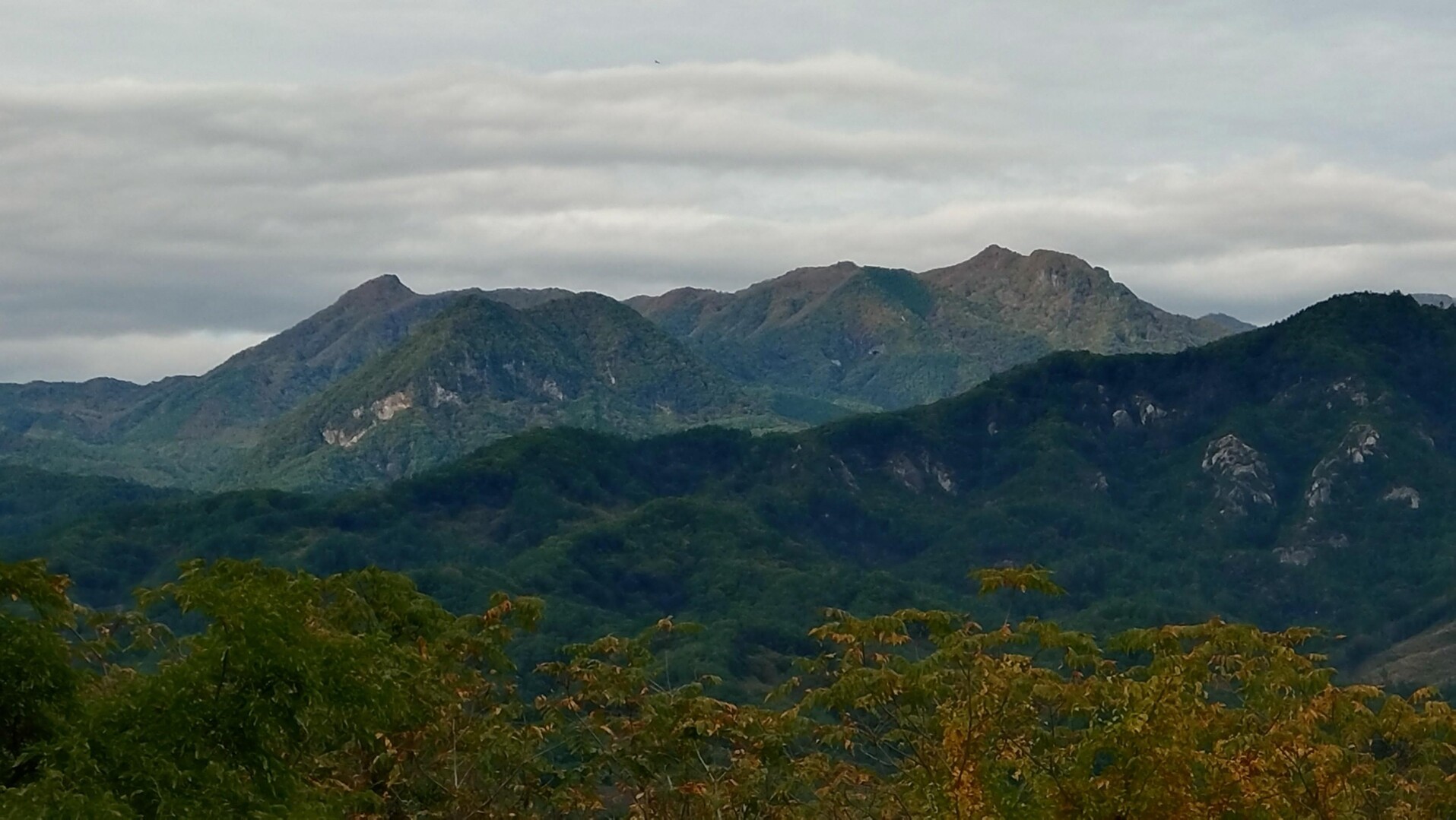 白山、片山トレーニング😃💦 / mt.8ninさんの興因寺山・淡雪山・八王子山の活動データ | YAMAP / ヤマップ