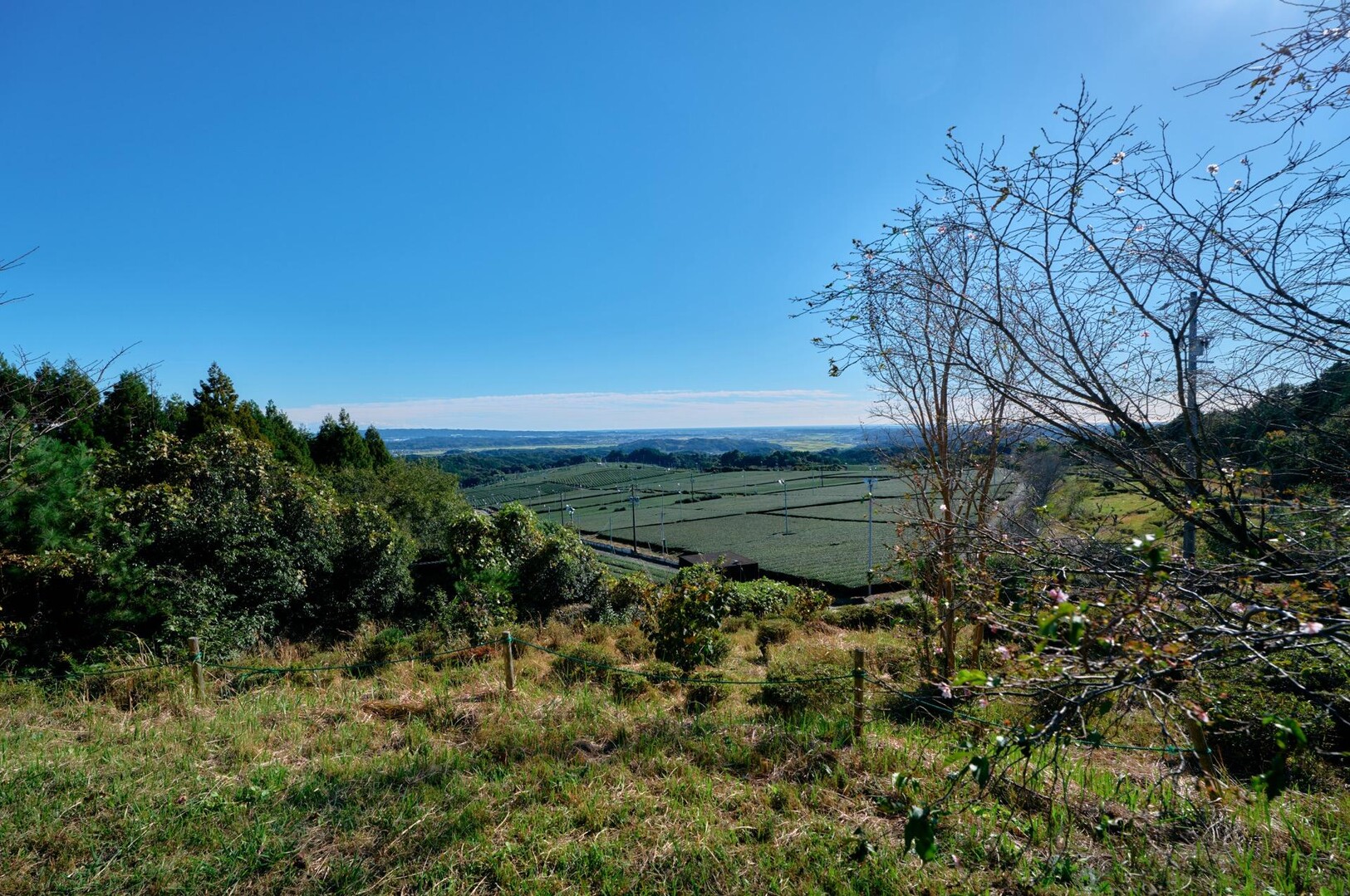 獅子ヶ鼻（岩室山） / linさんの獅子ヶ鼻公園の活動データ | YAMAP / ヤマップ