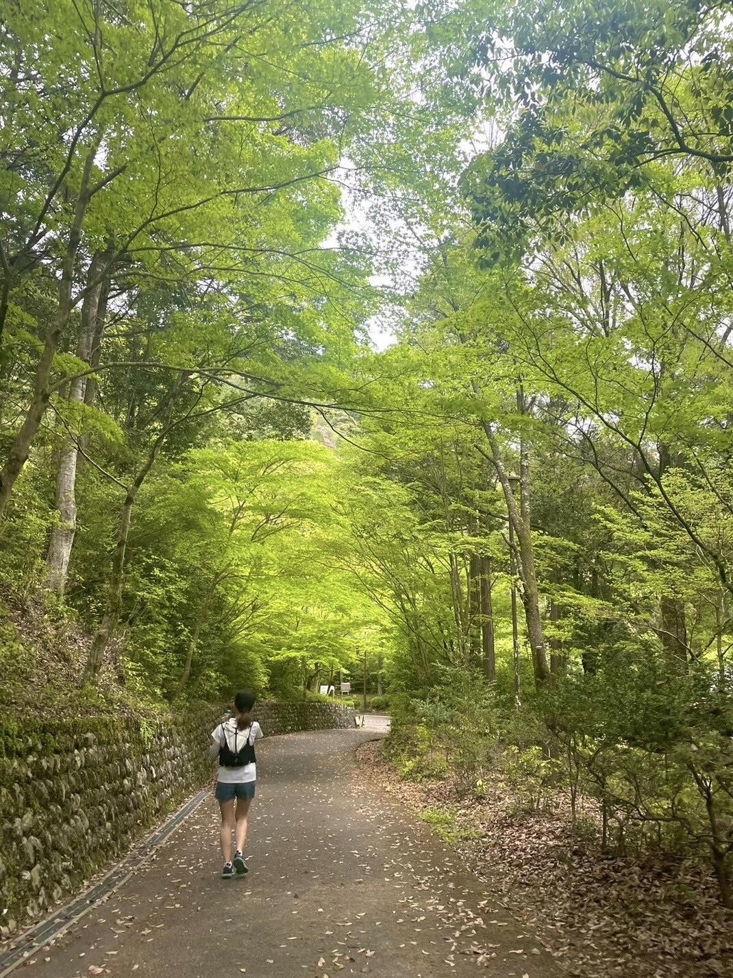 宇連山 / yuyuさんの宇連山・鳳来寺山・岩古谷山の活動データ | YAMAP / ヤマップ