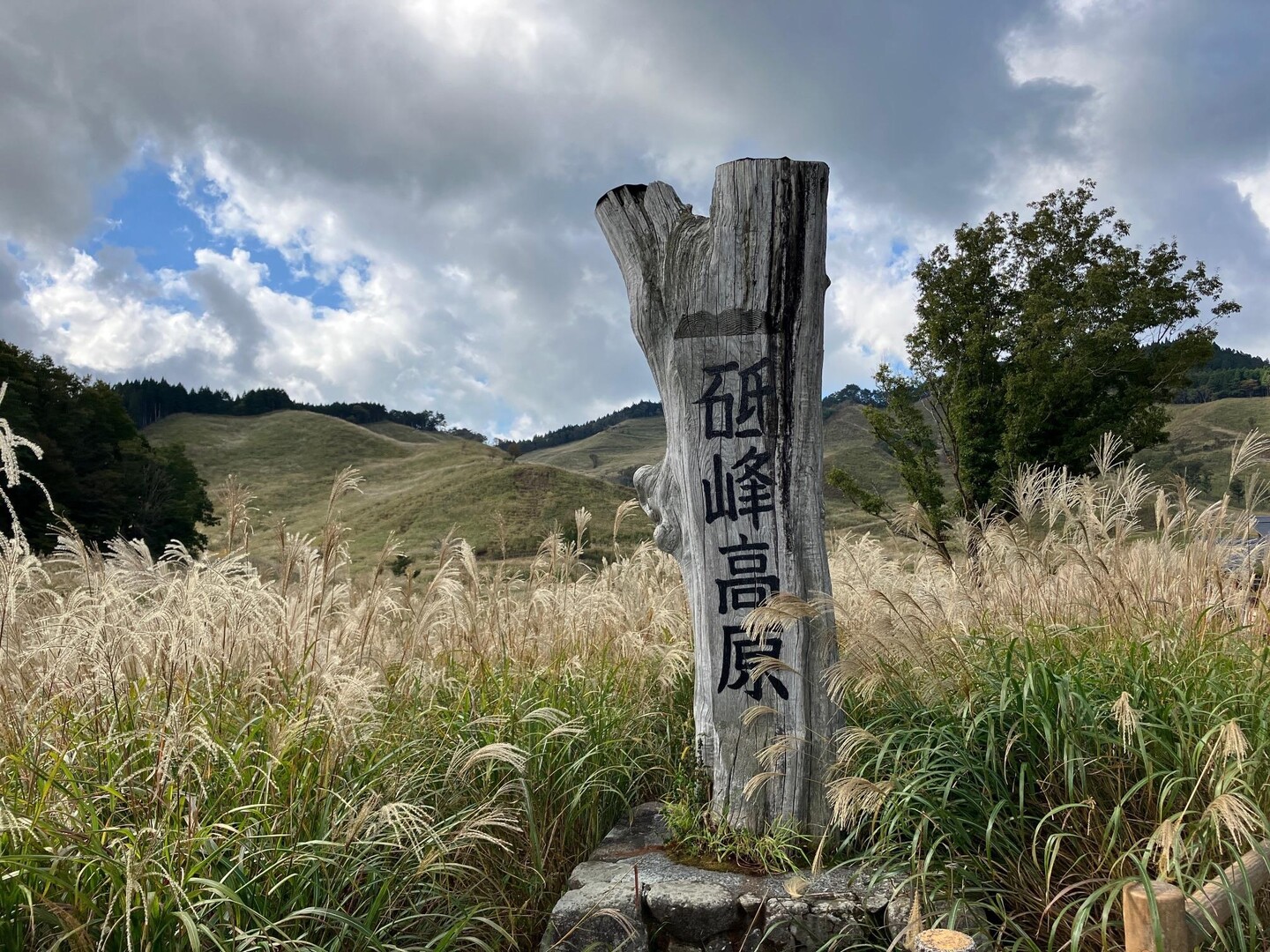 砥峰高原と夜鷹山 / mu_pa_paさんの砥峰高原・峰山高原の活動データ | YAMAP / ヤマップ
