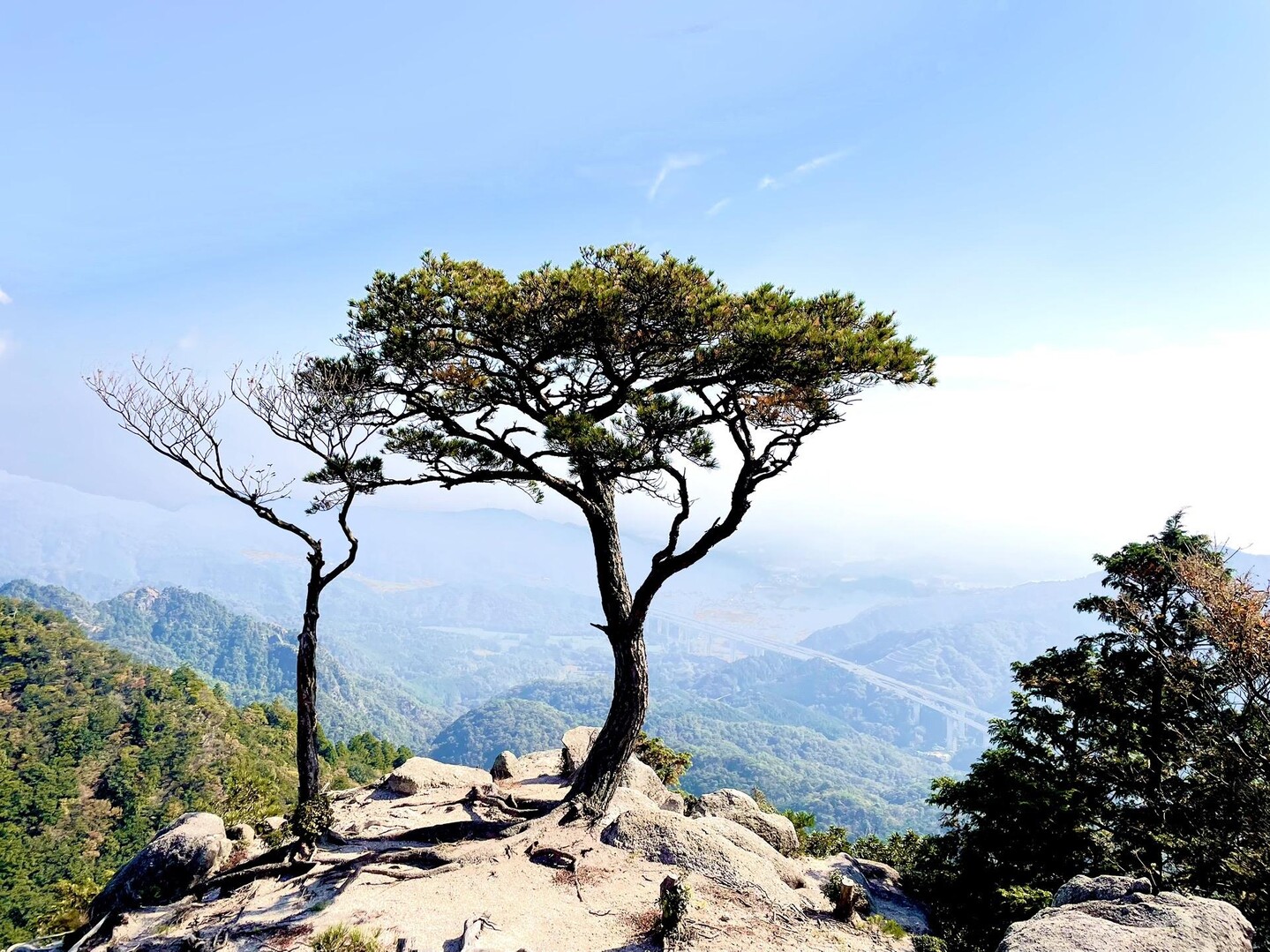 亀山7座完登⛰️ ⑦臼杵ヶ岳 / JFBKさんの入道ヶ岳・鎌ヶ岳・仙ヶ岳の活動データ | YAMAP / ヤマップ