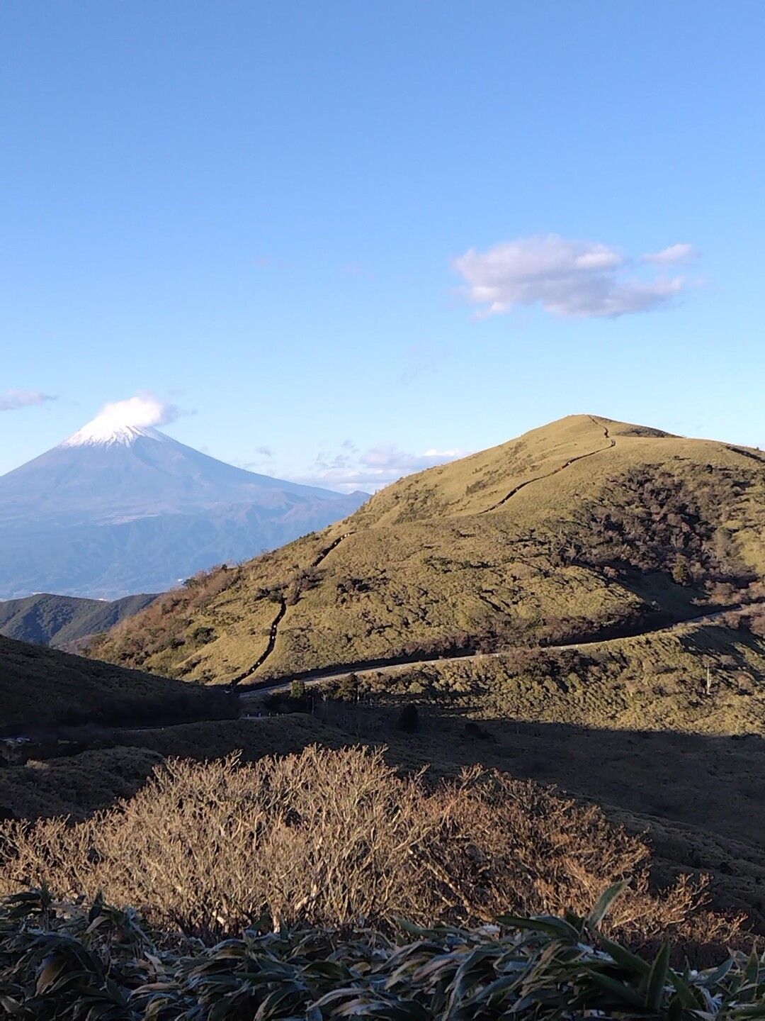 IZU TRAIL Journey ITJ 2024 70k / northfox1492さんの棚場山・魂の山・猫越岳の活動データ | YAMAP / ヤマップ