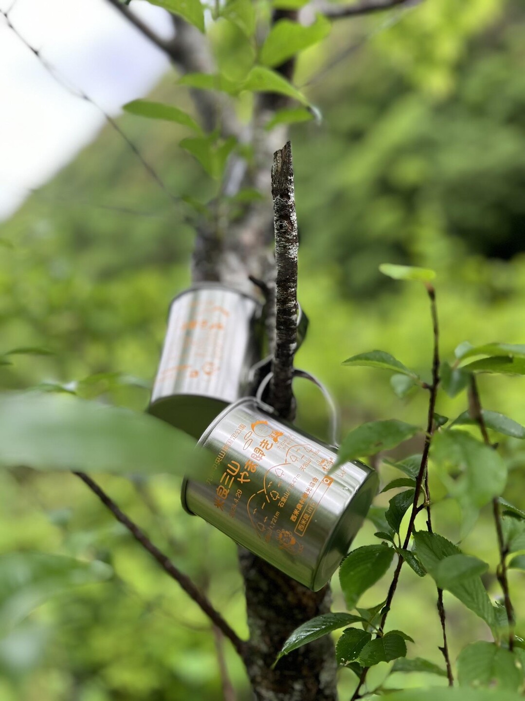 米良三山山開き とりまget マグカッ... / hobo_soloさんのモーメント | YAMAP / ヤマップ