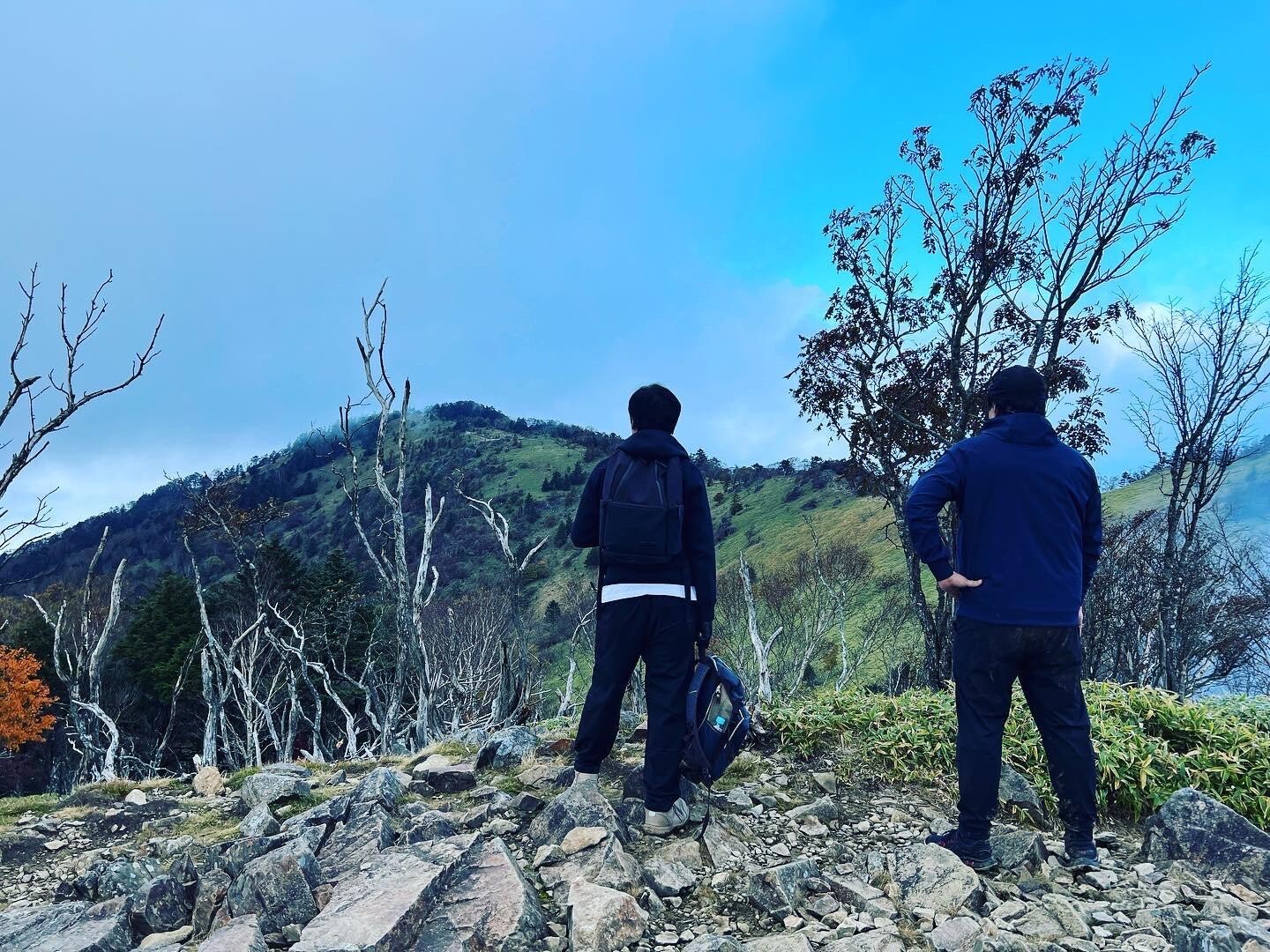 【大菩薩嶺】はじめて友人との登山 / ryunosukeさんの大菩薩嶺・鶏冠山・大マテイ山の活動データ | YAMAP / ヤマップ