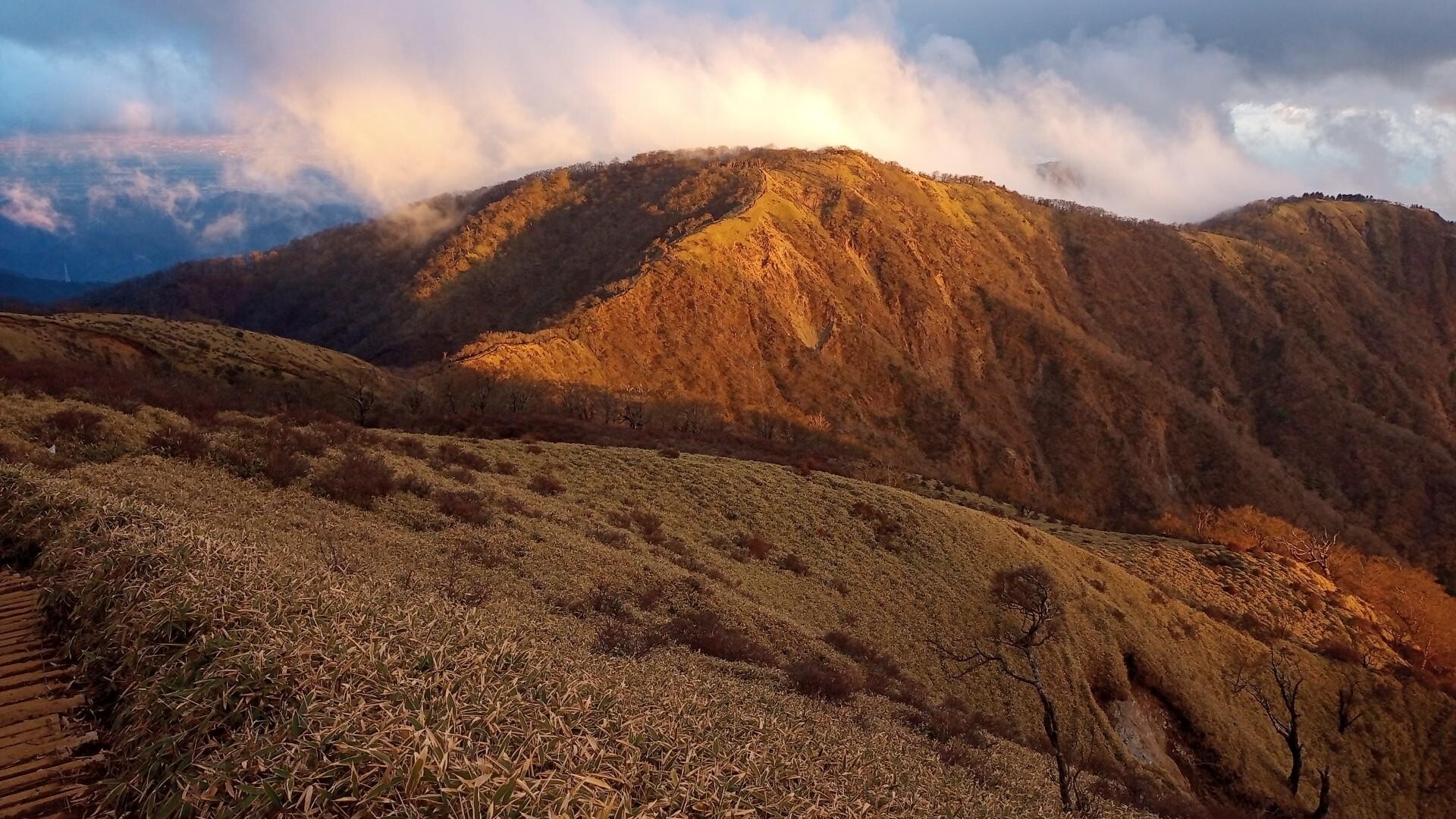 TTT（Takao to Tanzawa） / ユージさんの塔ノ岳・丹沢山・蛭ヶ岳の活動データ | YAMAP / ヤマップ