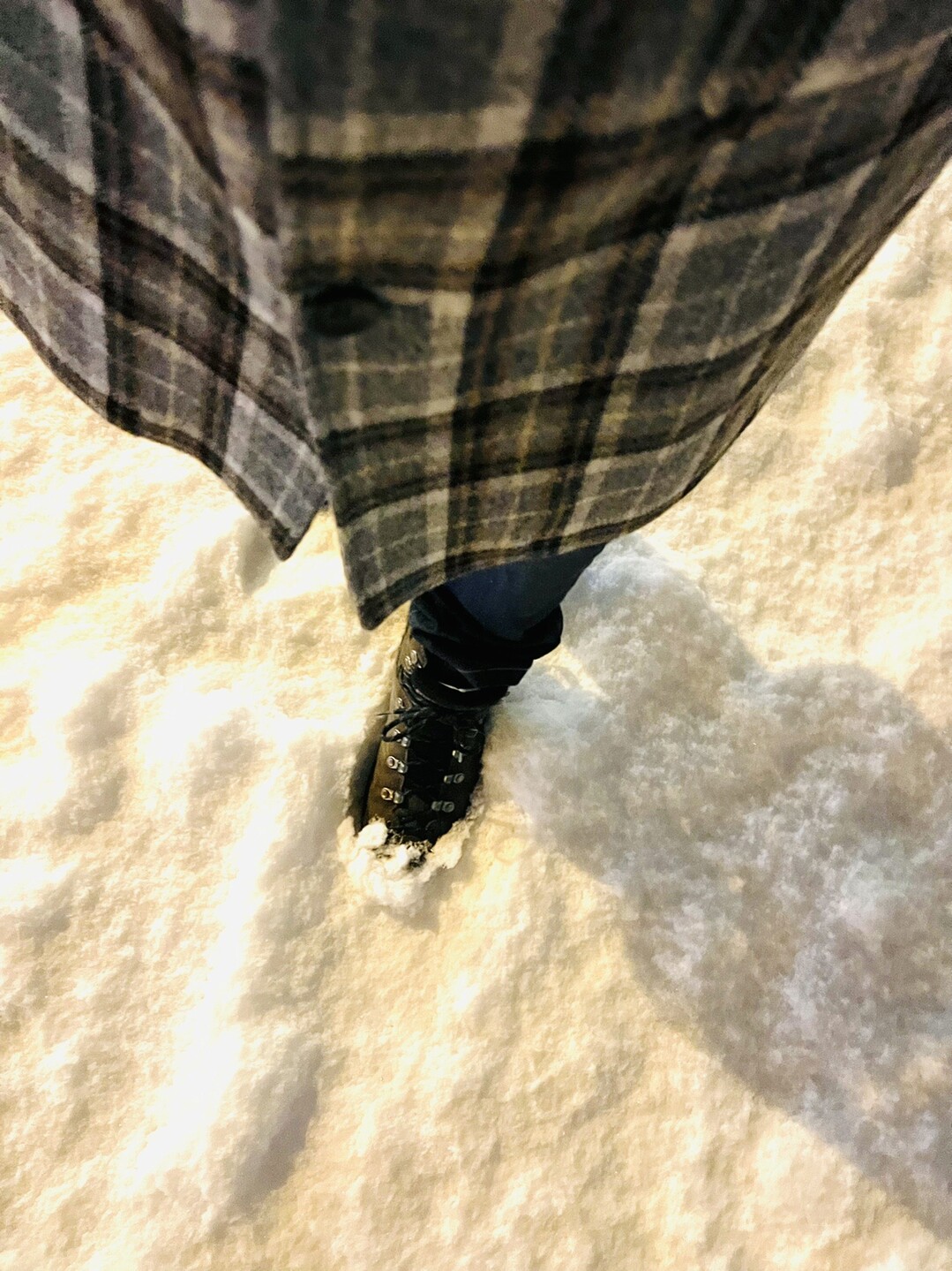 昨日の東京は午後から大雪が降りました⛄️... / しそおにぎりさんのモーメント | YAMAP / ヤマップ