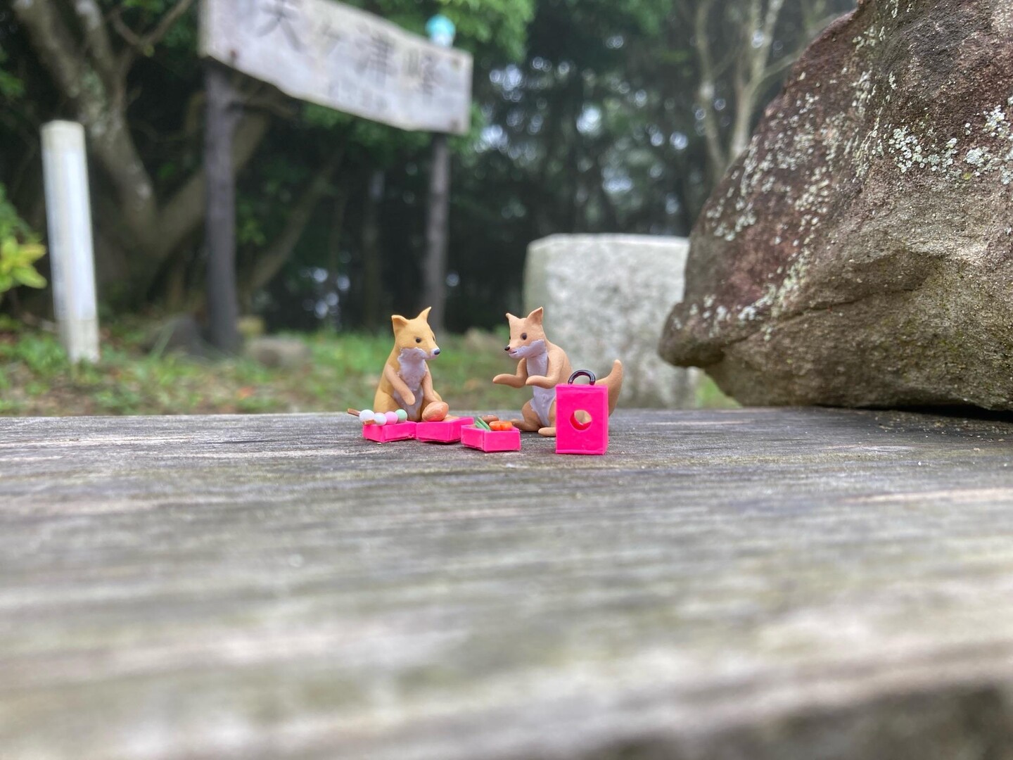 天円山（天ヶ津峰） / lazyさんの大麻山・天円山の活動データ | YAMAP / ヤマップ