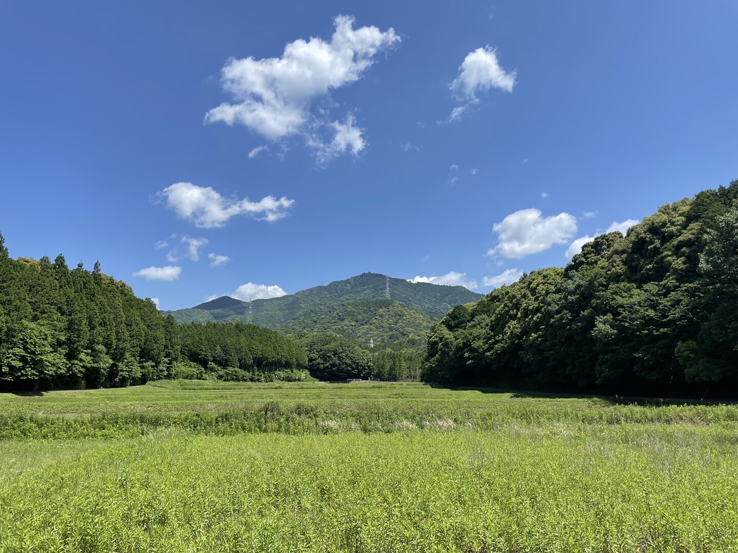 本宮山(聖剣ルート) / maryさんの本宮山・大日山・風頭山の活動データ | YAMAP / ヤマップ