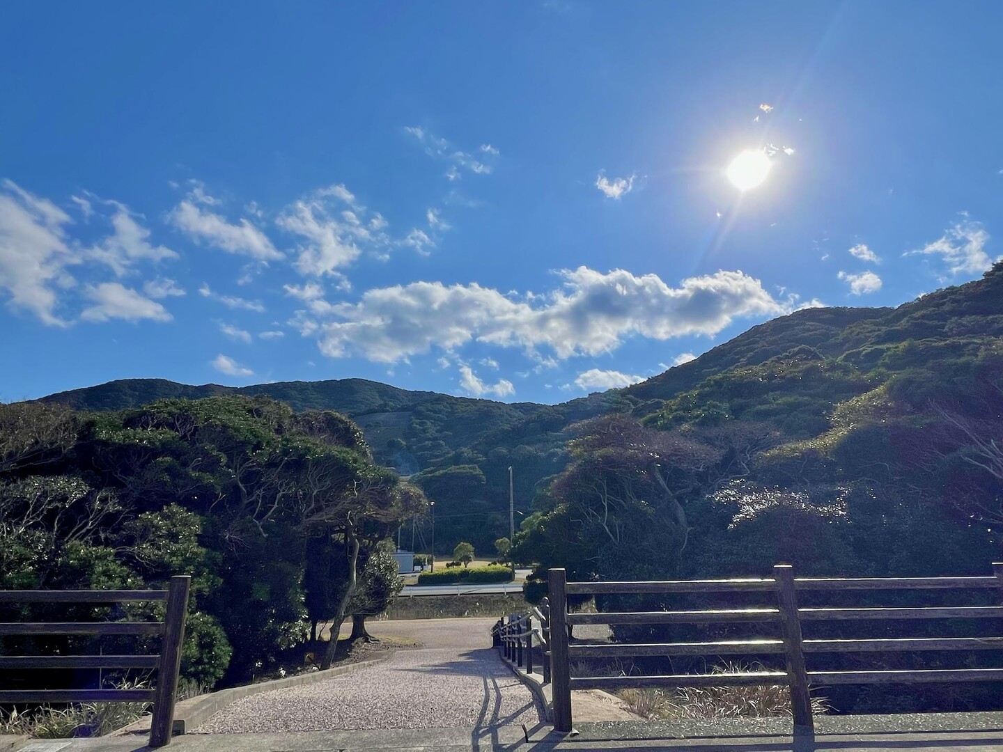 蒲生田山⛰️入道丸(次郎坊)⛰️周回 ️丈六寺🍁 / yukiさんの入道丸（次郎坊）・蒲生田山の活動日記 | YAMAP / ヤマップ