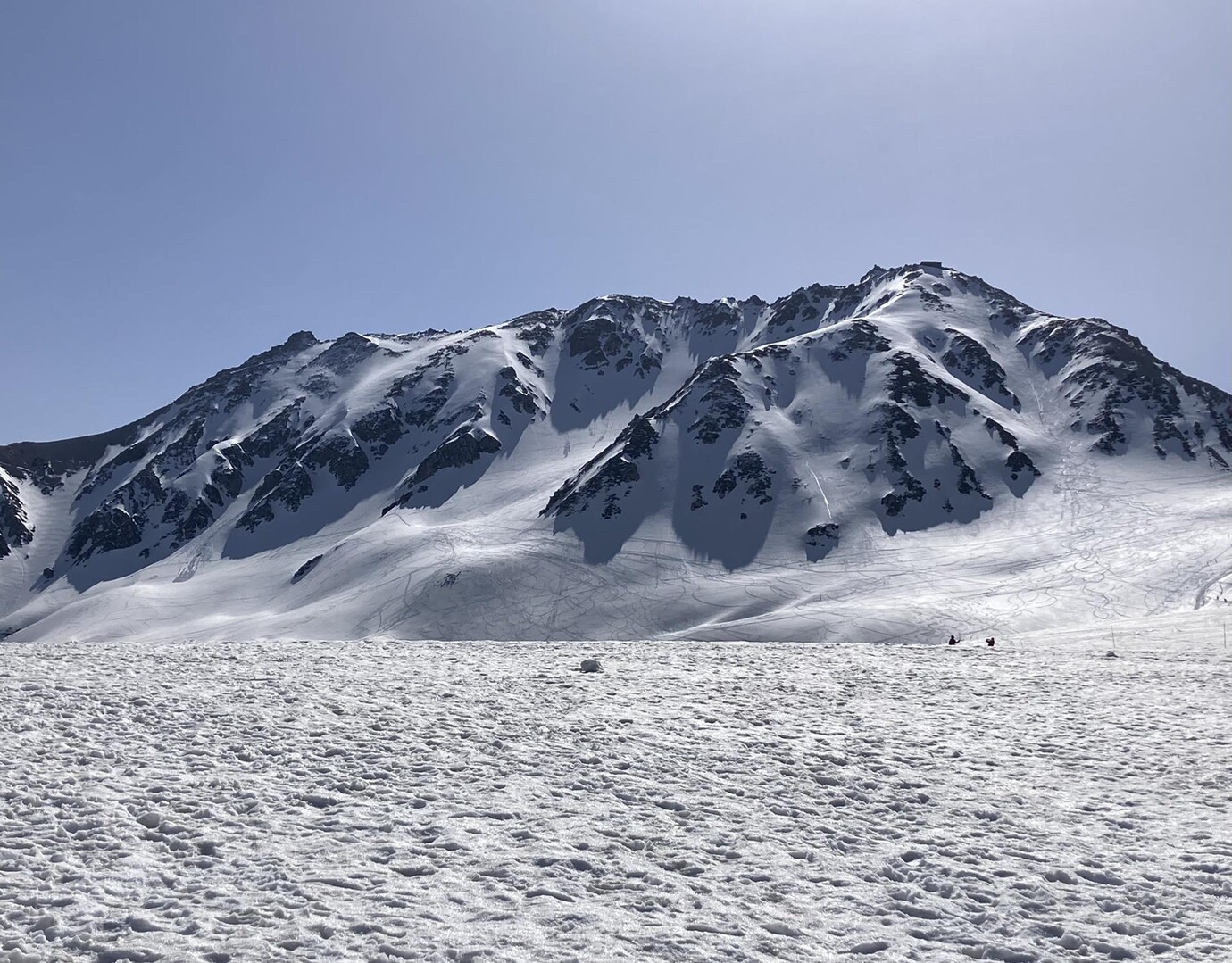 春の室堂〜一ノ越とみくりが池周辺の雷鳥🐧探し / Masakoさんの立山・雄山・浄土山の活動データ | YAMAP / ヤマップ