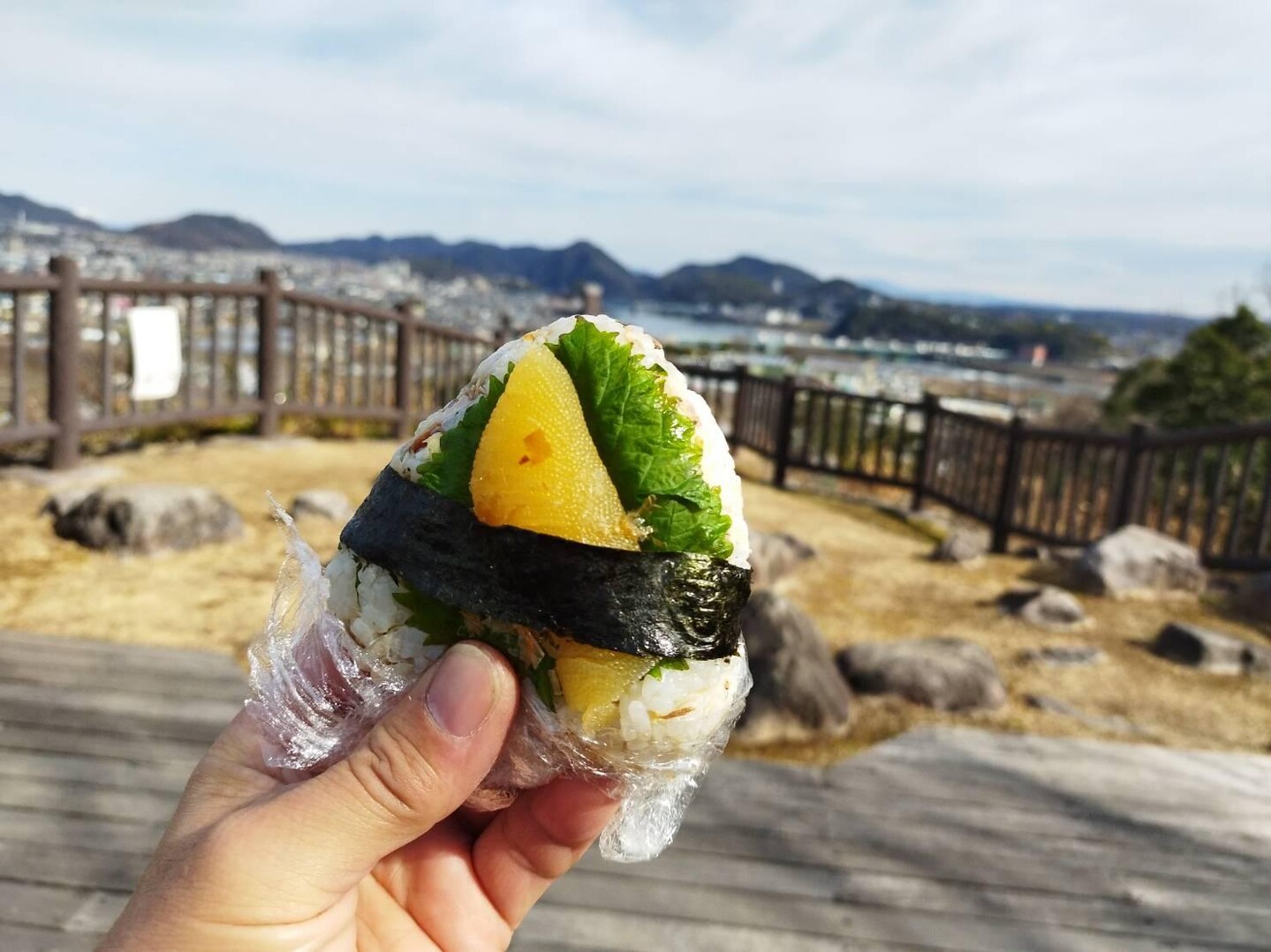 230座目 伊木山(岐阜県) / YHさんの伊木山（夕暮富士）の活動データ | YAMAP / ヤマップ