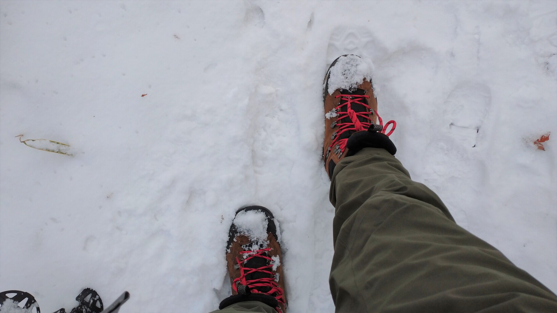 KEENの「Revel IV High ... / NAOさんのモーメント | YAMAP / ヤマップ