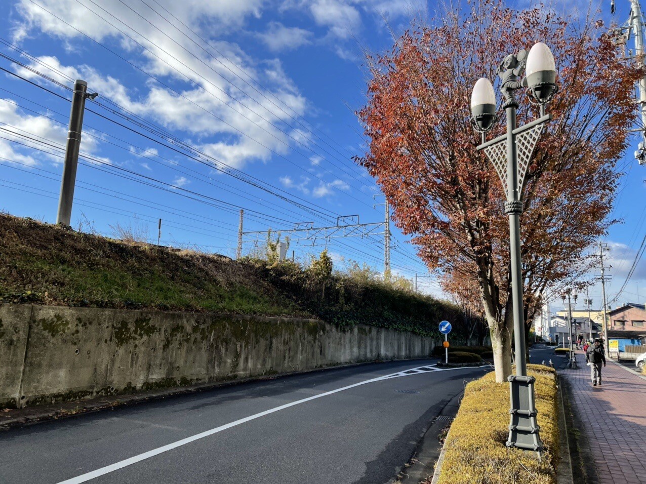 JR穂積駅🚃さわやかウォーキング / ha-saさんの中山道（加納宿・美江寺宿）の活動データ | YAMAP / ヤマップ