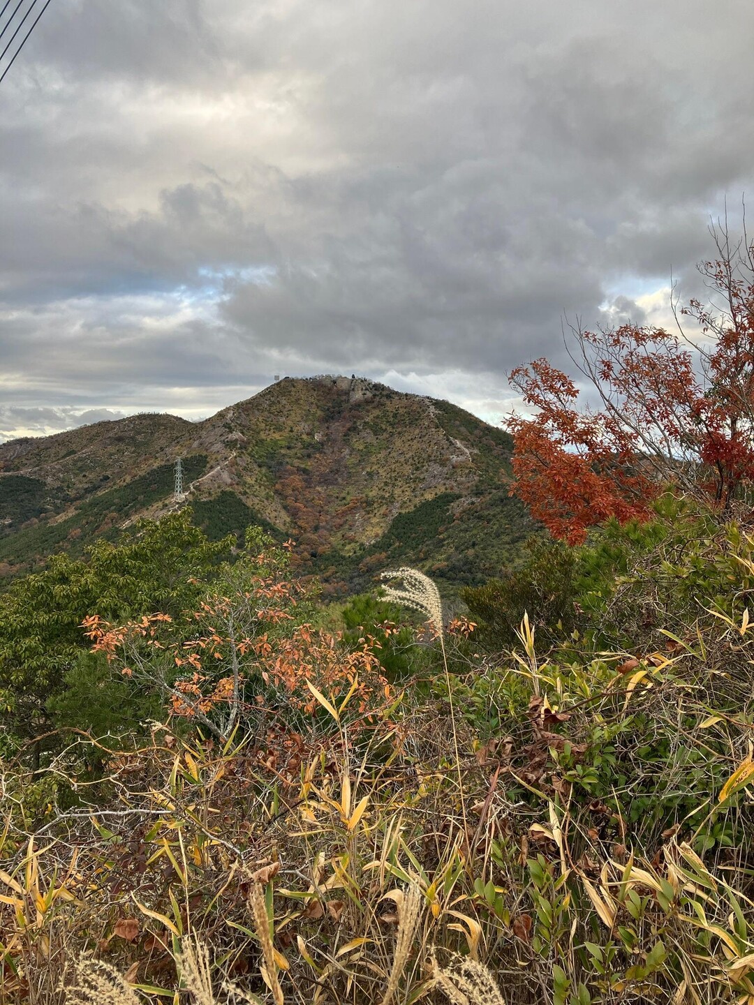 高御位山・小高御位山・中塚山 / M A S Aさんの高御位山・播磨アルプスの活動データ | YAMAP / ヤマップ