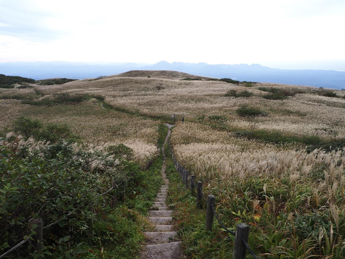 男三瓶山(三瓶山) / iwaさんの三瓶山・大平山の活動日記 | YAMAP / ヤマップ