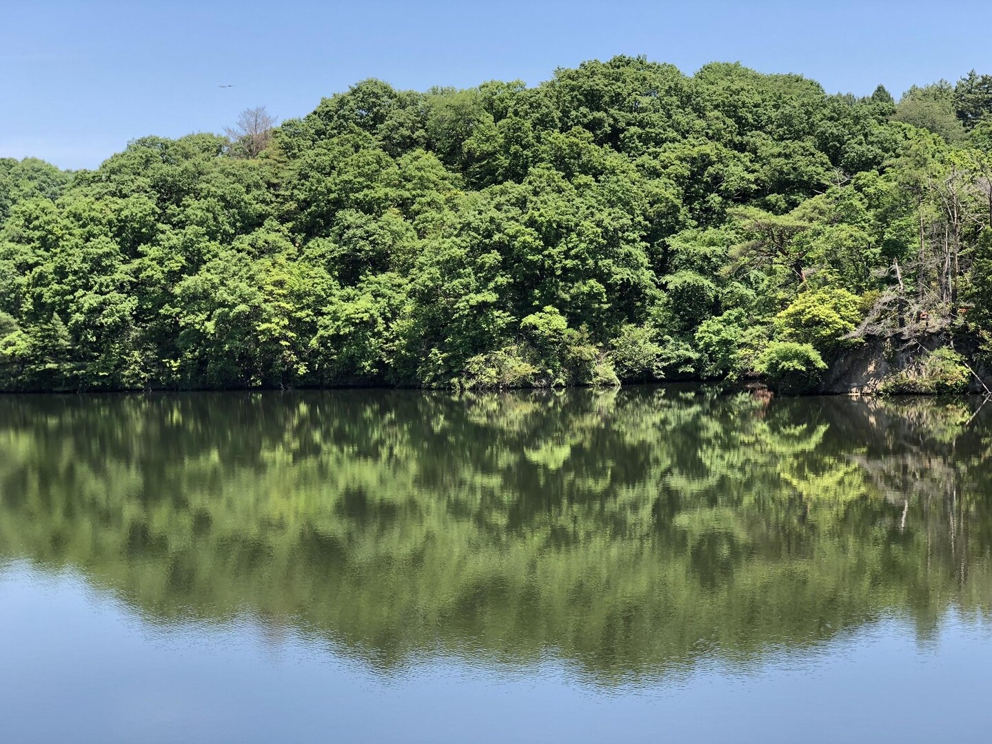 国見山・新サンドイッチ山・交野山・旗振山 / Montana⭐️さんの交野山・国見山の活動データ | YAMAP / ヤマップ