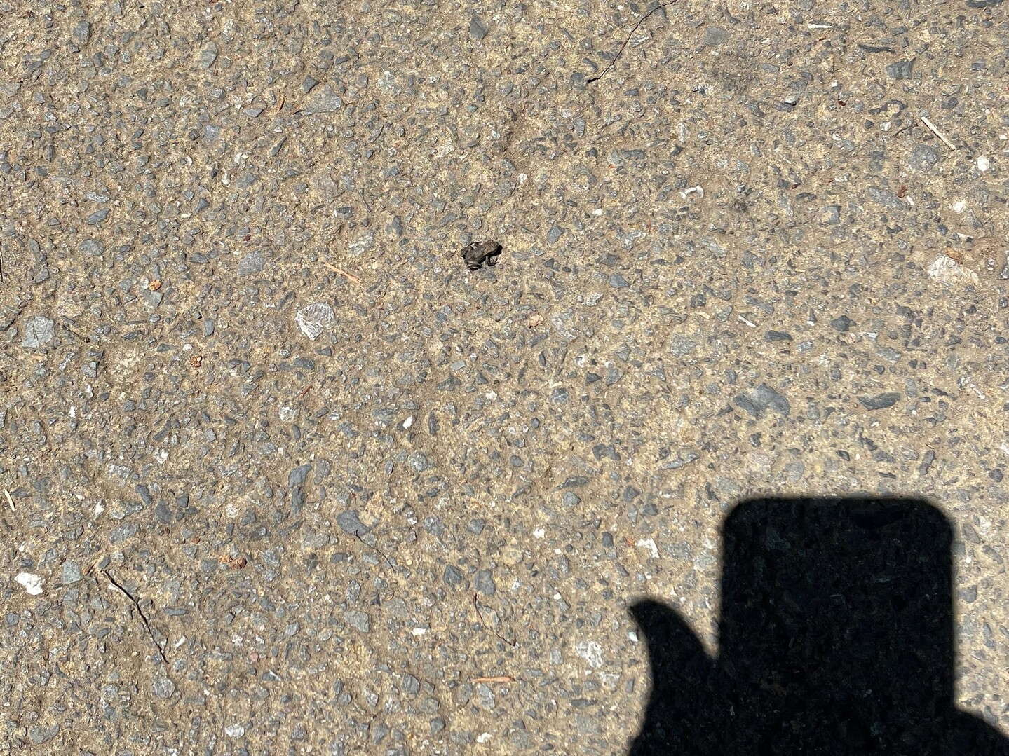 2泊3日の伊豆88遍路から戻り、昨日・一... / enoさんのモーメント | YAMAP / ヤマップ