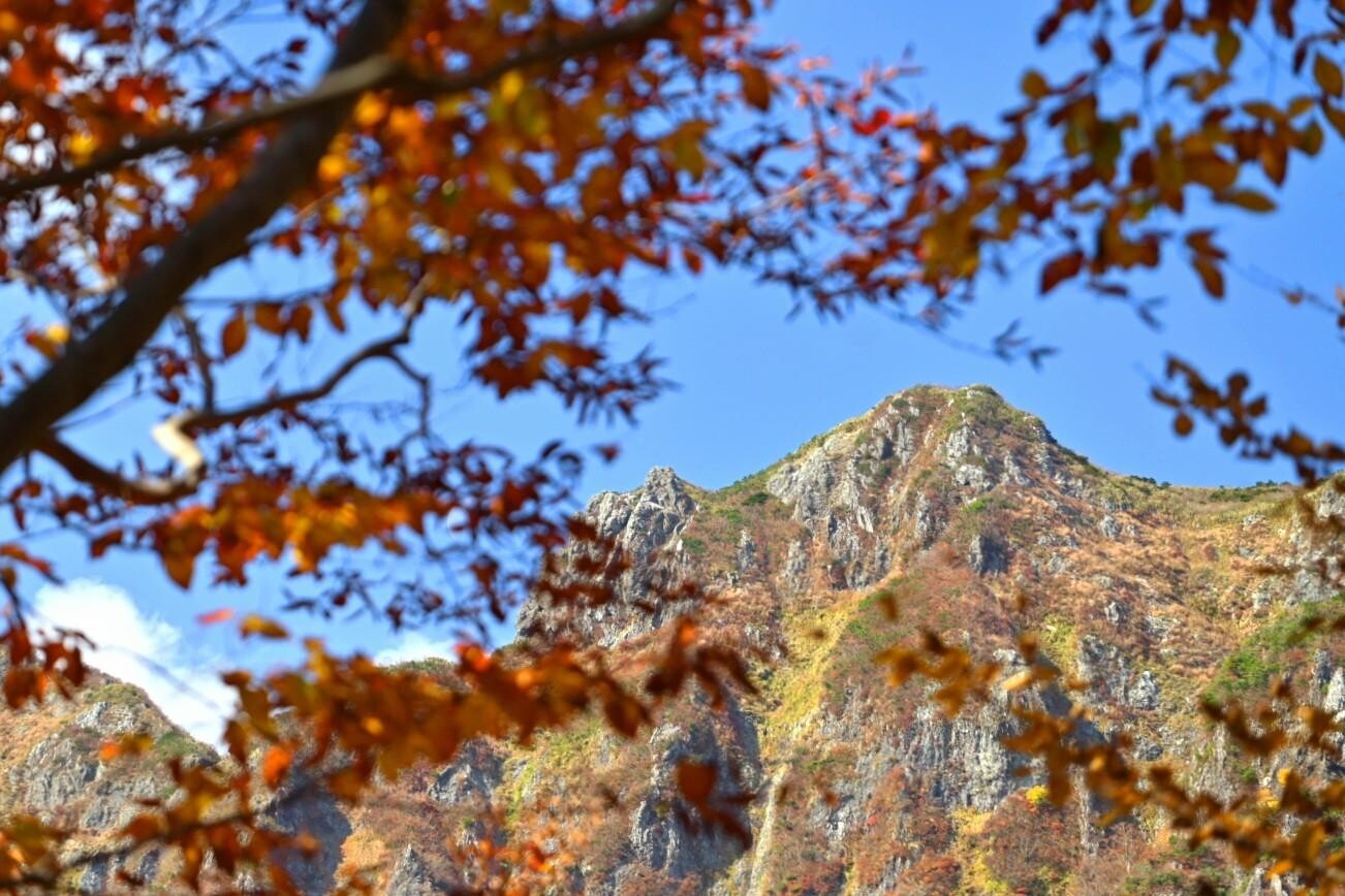 夜叉丸 / taroさんの夜叉ヶ池山・三周ヶ岳の活動データ | YAMAP / ヤマップ