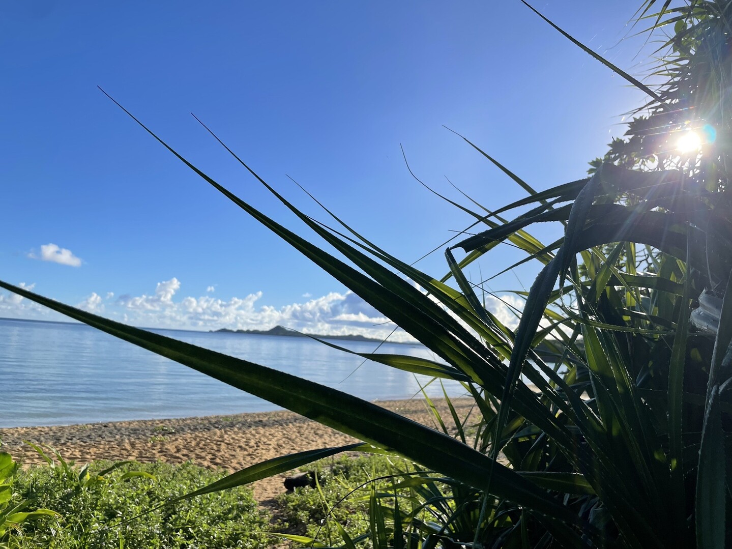 日曜朝、綺麗な凪の海 太陽と青い空と白い... / sae.irisさんのモーメント | YAMAP / ヤマップ