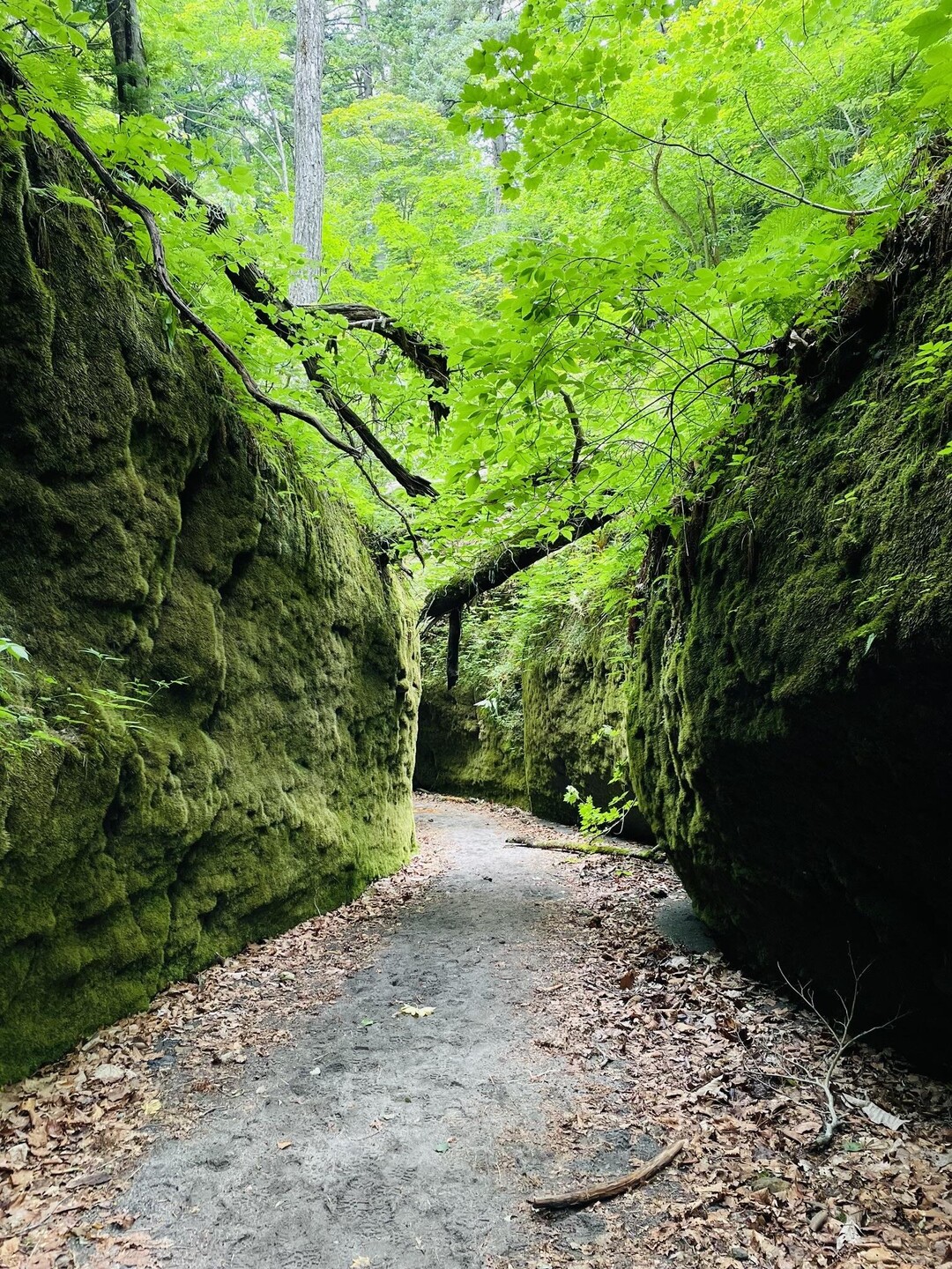 2023.07.09(日) 13:21 / ユーザーmatchyさんのモーメント | YAMAP / ヤマップ