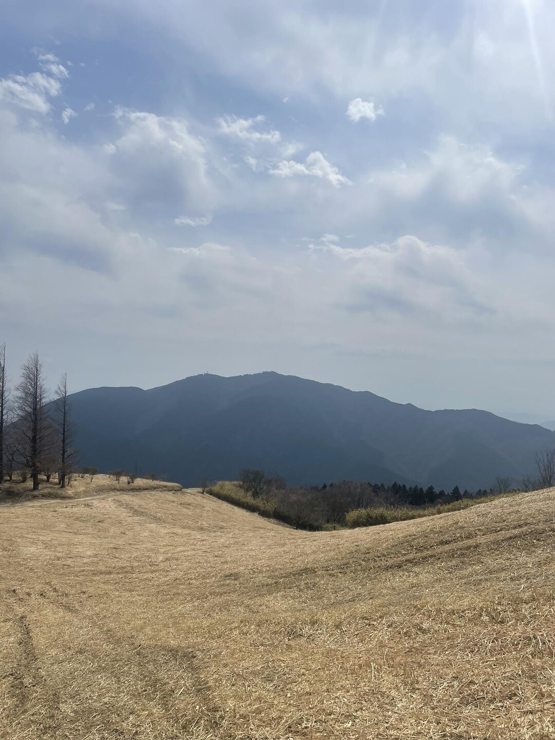 竹内山・万才山・岩橋山・富高山・大和葛城山 / kakoさんの金剛山・二上山・大和葛城山の活動データ | YAMAP / ヤマップ