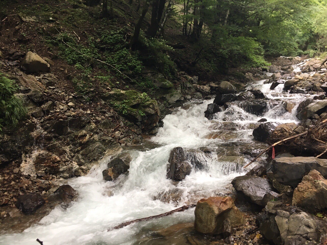 Kotaさんの投稿したフィールドメモ | YAMAP / ヤマップ