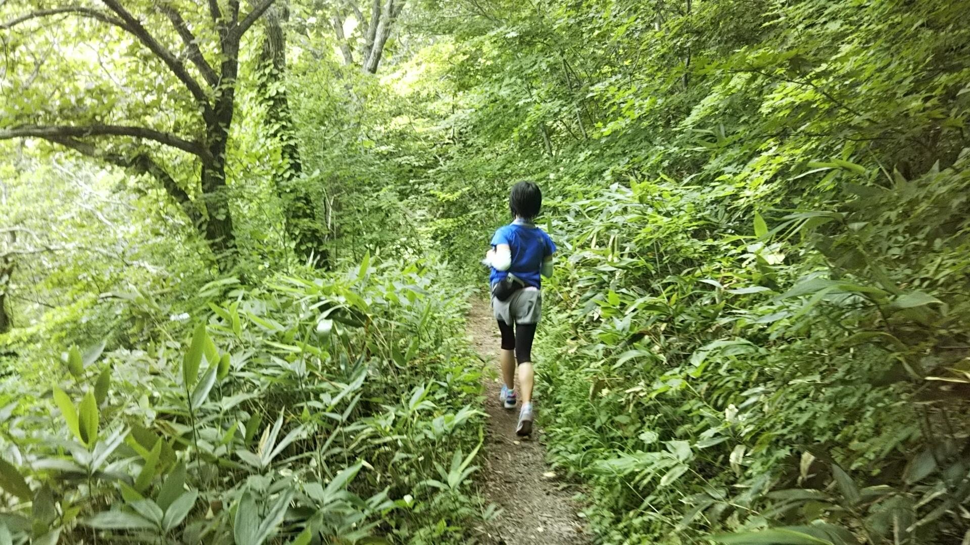 函館山ヨレRUN🏃5😼👧 / keiさんの函館山の活動データ | YAMAP / ヤマップ