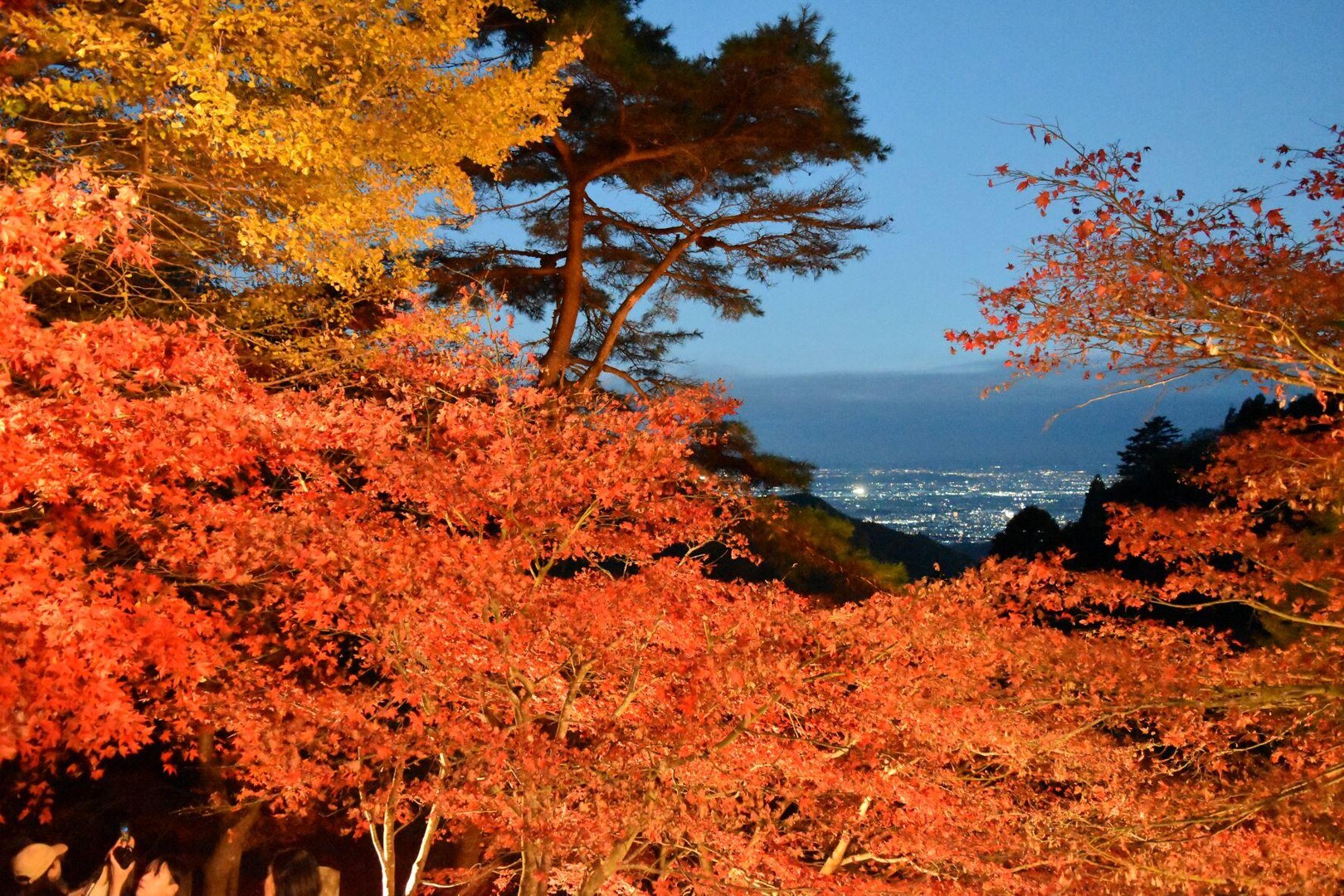 大山 / Nic_kgさんの大山の活動データ | YAMAP / ヤマップ