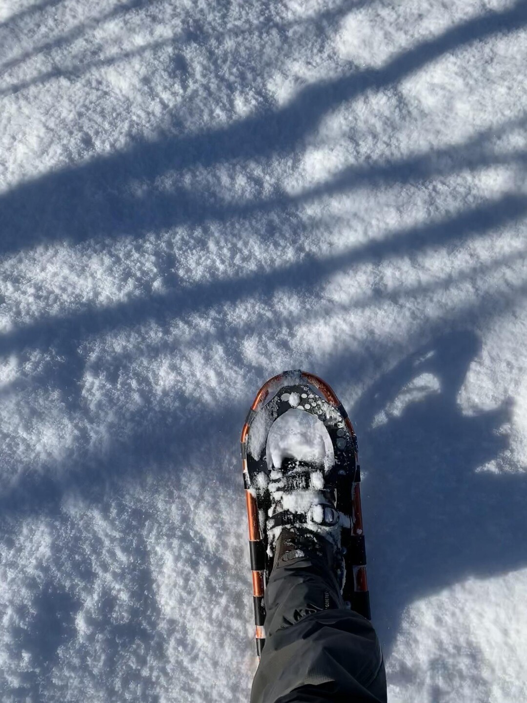 吹雪になる前に雪原歩きスタート。 修理し... / h____さんのモーメント | YAMAP / ヤマップ