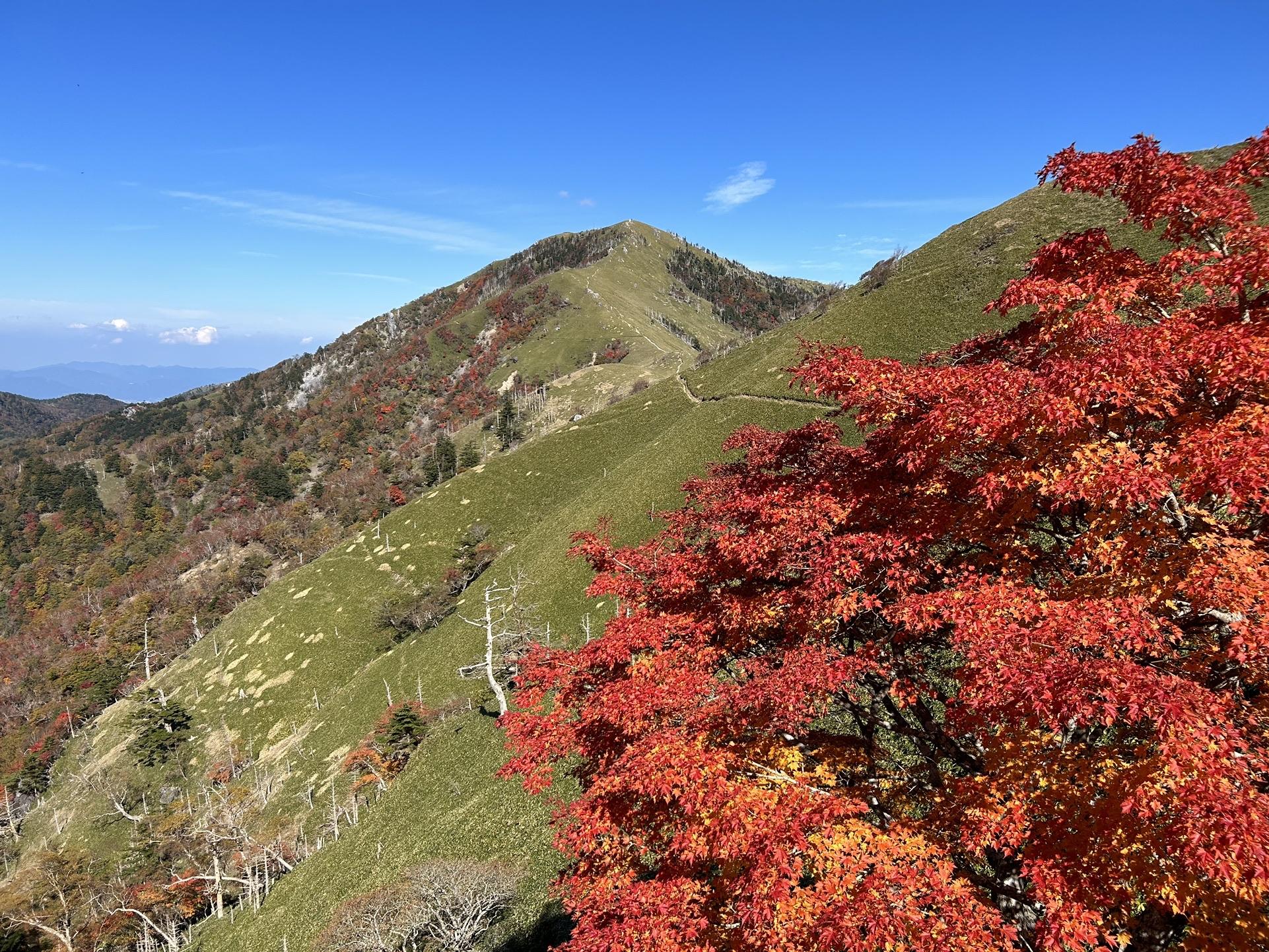 剣山 紅葉歩き / nyarooさんの剣山の活動データ | YAMAP / ヤマップ