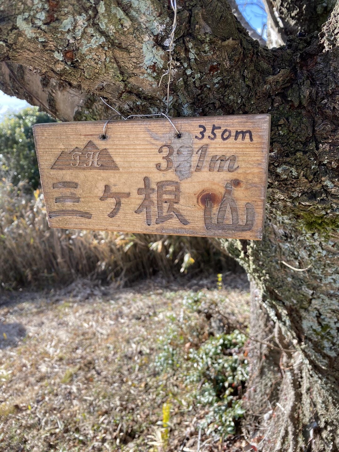 三ヶ根山最高点・三ヶ根山 / 130tさんの三ヶ根山の活動データ | YAMAP / ヤマップ