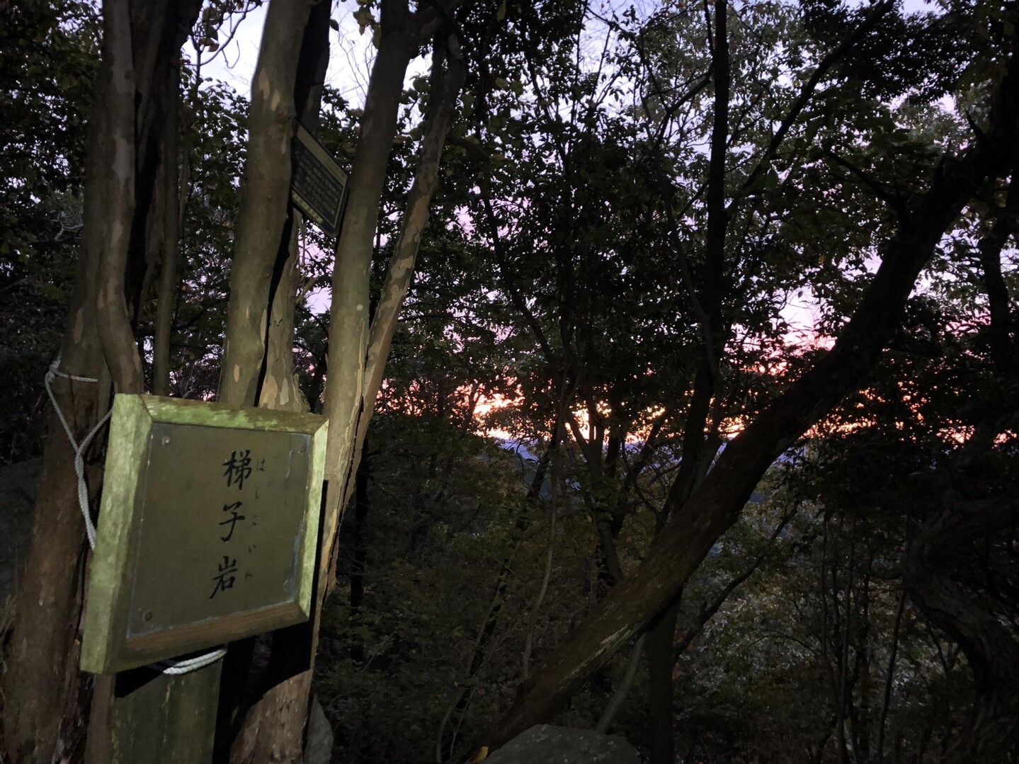 ASK🏃‍♂️本宮山⛰88 / スカじいさんの本宮山・大日山・風頭山の活動データ | YAMAP / ヤマップ