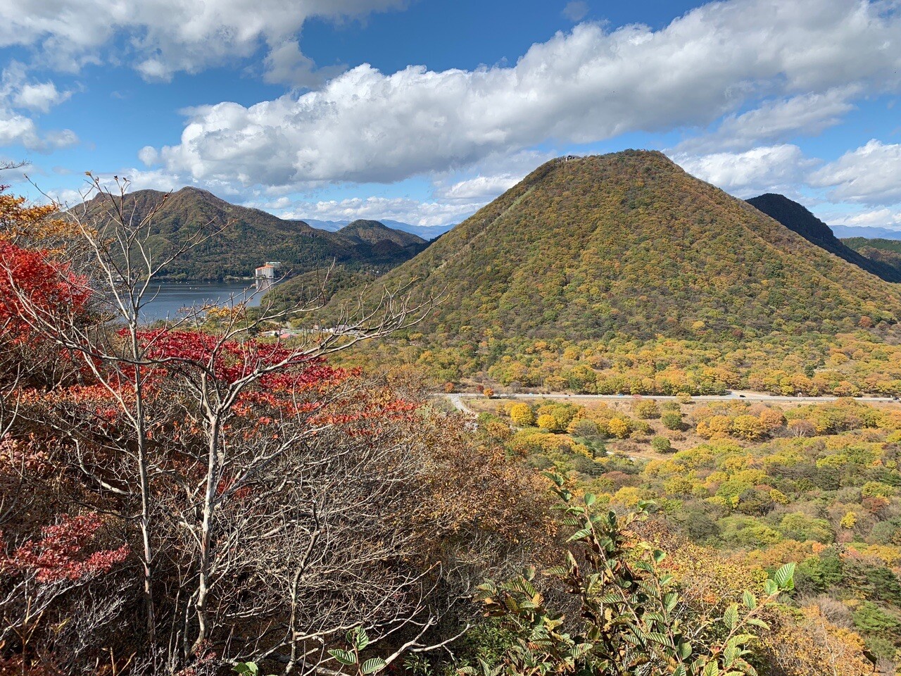 D40さんの投稿したフィールドメモ | YAMAP / ヤマップ