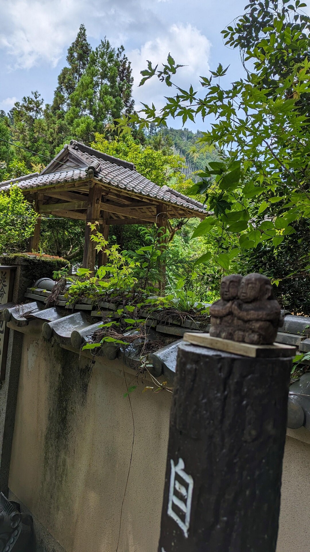 20240608 京都一周トレイルログ 大原戸寺〜柊野グランド前 / Kyo_omiさんの京都一周トレイルの活動データ | YAMAP / ヤマップ
