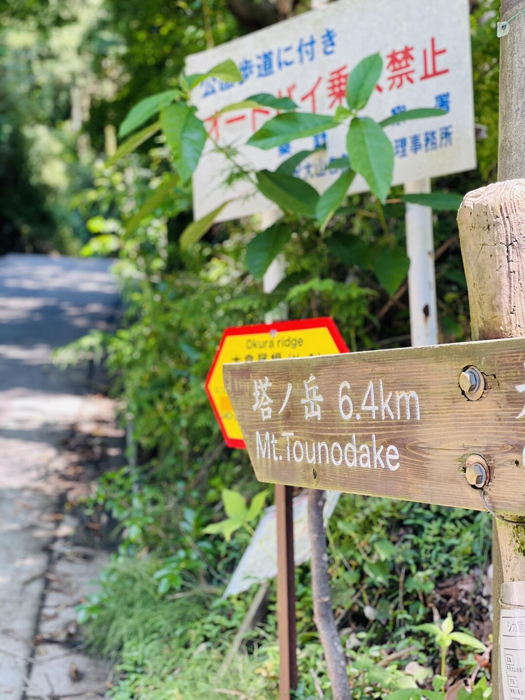 塔ノ岳ー秦野VC バカ尾根ピストン @コメダ / Mtrさんの塔ノ岳・丹沢山・蛭ヶ岳の活動データ | YAMAP / ヤマップ