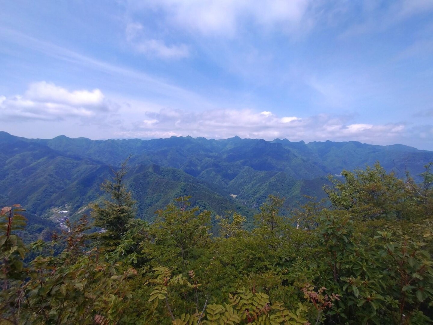 碧岩 / moneさんの碧岩・大岩の活動データ | YAMAP / ヤマップ