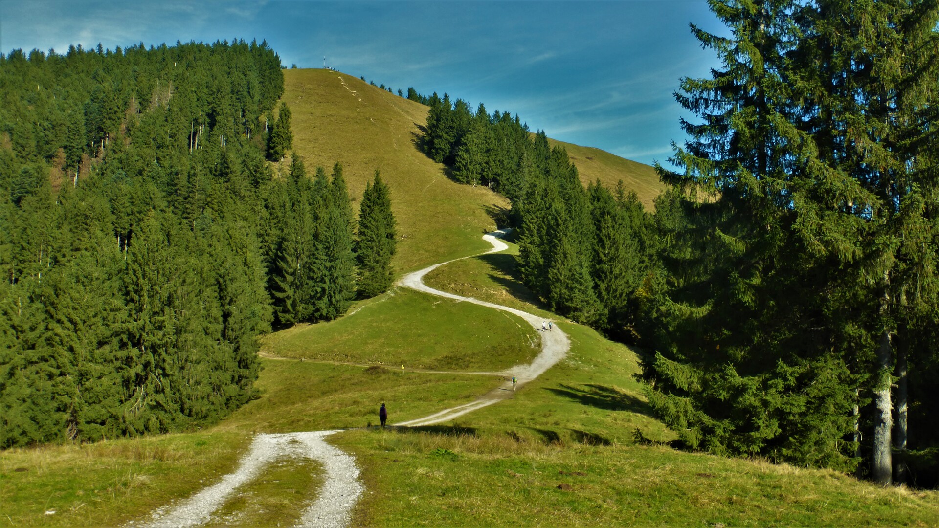 ミュンヘンの家主からの山関係画像その9... / sensaさんのモーメント | YAMAP / ヤマップ