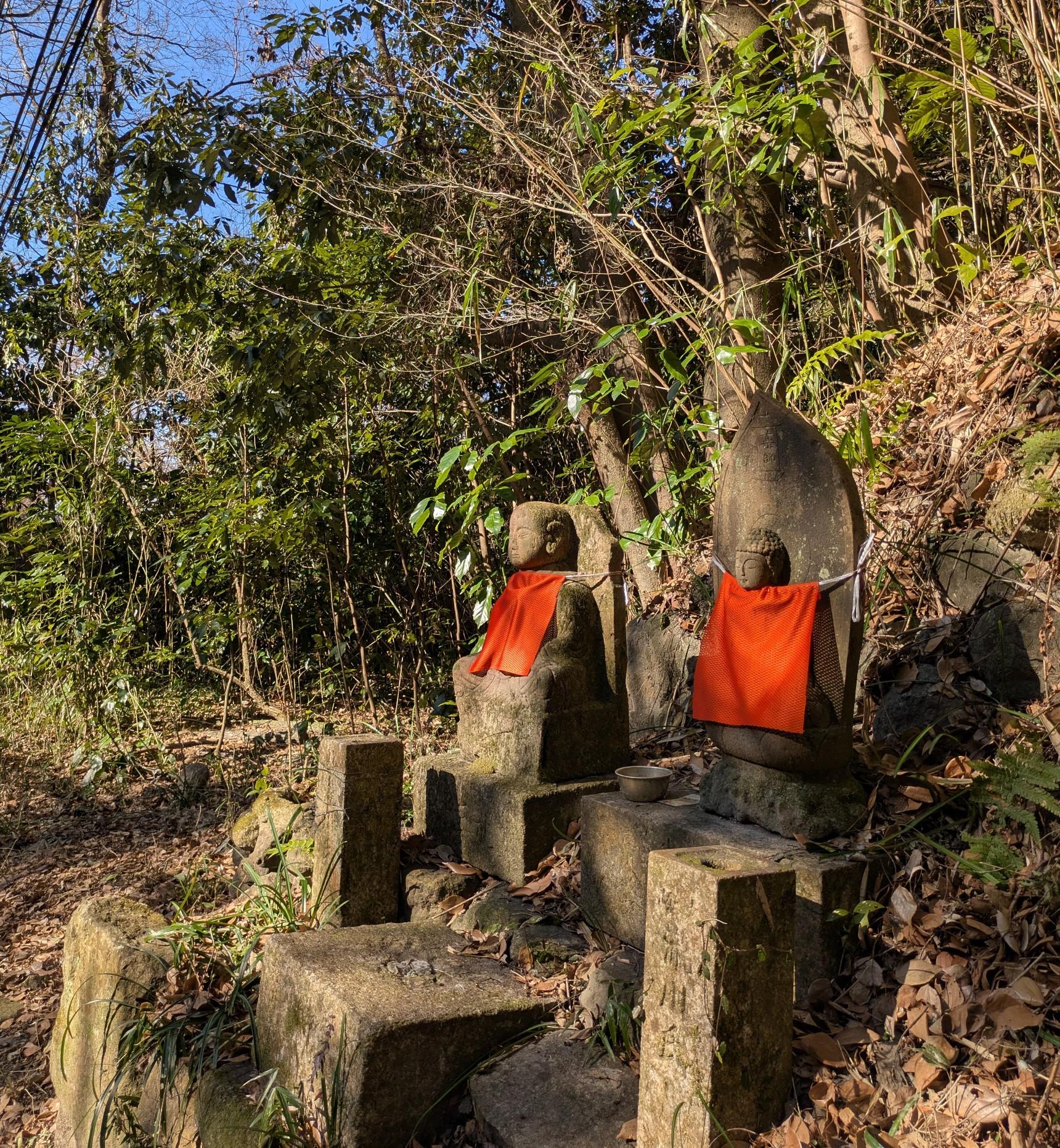 いこまやまいこ♨️宮川谷コース〜辻子谷コース / noanoaさんの生駒山・神津嶽・大原山の活動データ | YAMAP / ヤマップ