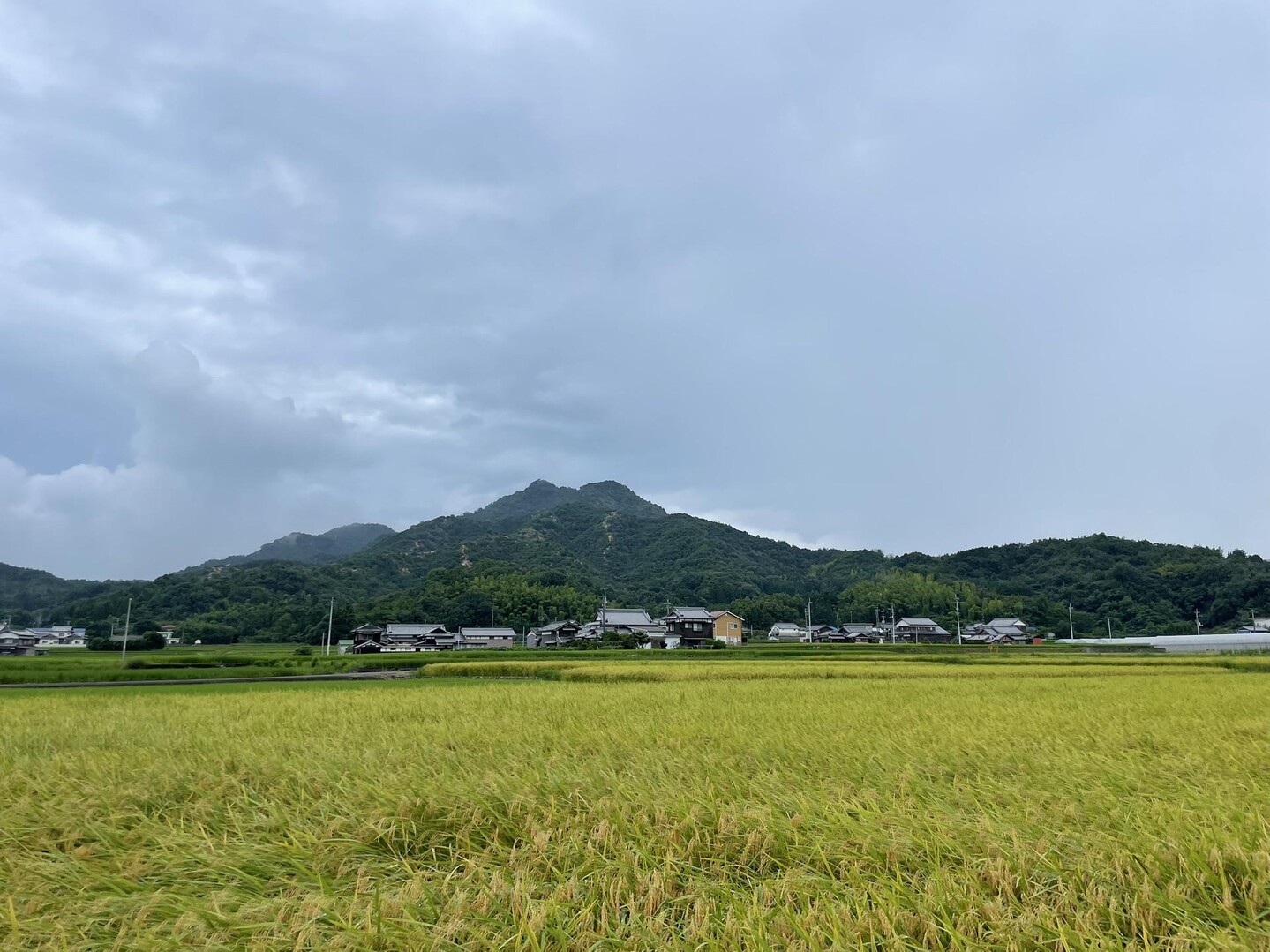WE LOVE笠松山 / おひめさんの四国遍路その16の活動データ | YAMAP / ヤマップ