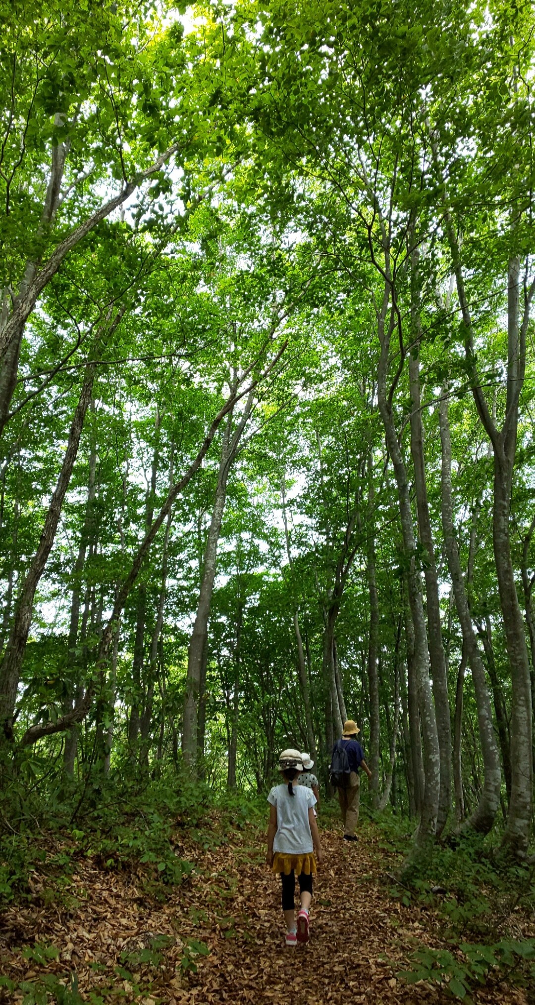 souのページ | YAMAP / ヤマップ